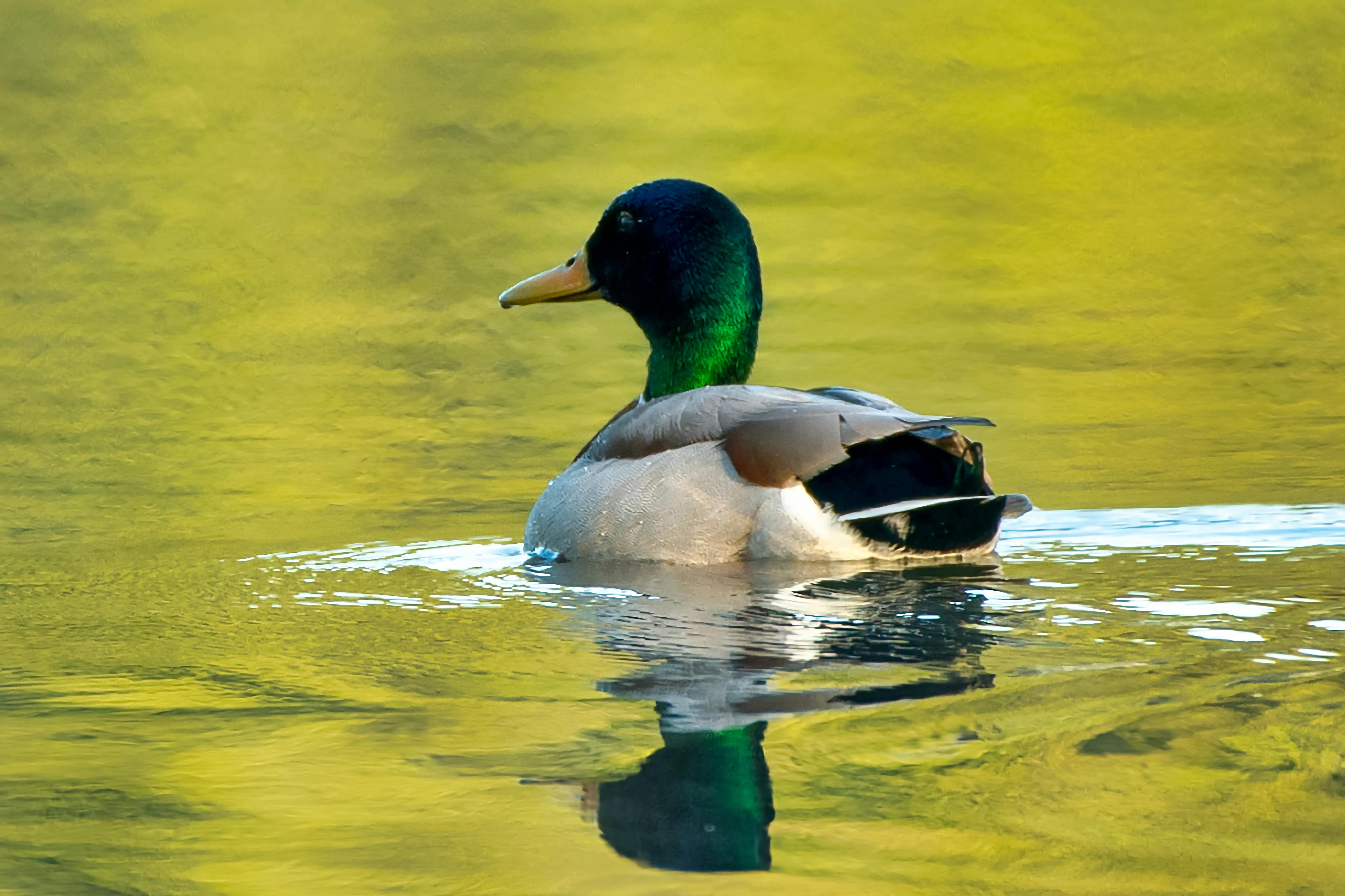 Michael Taccetta - Fotografía