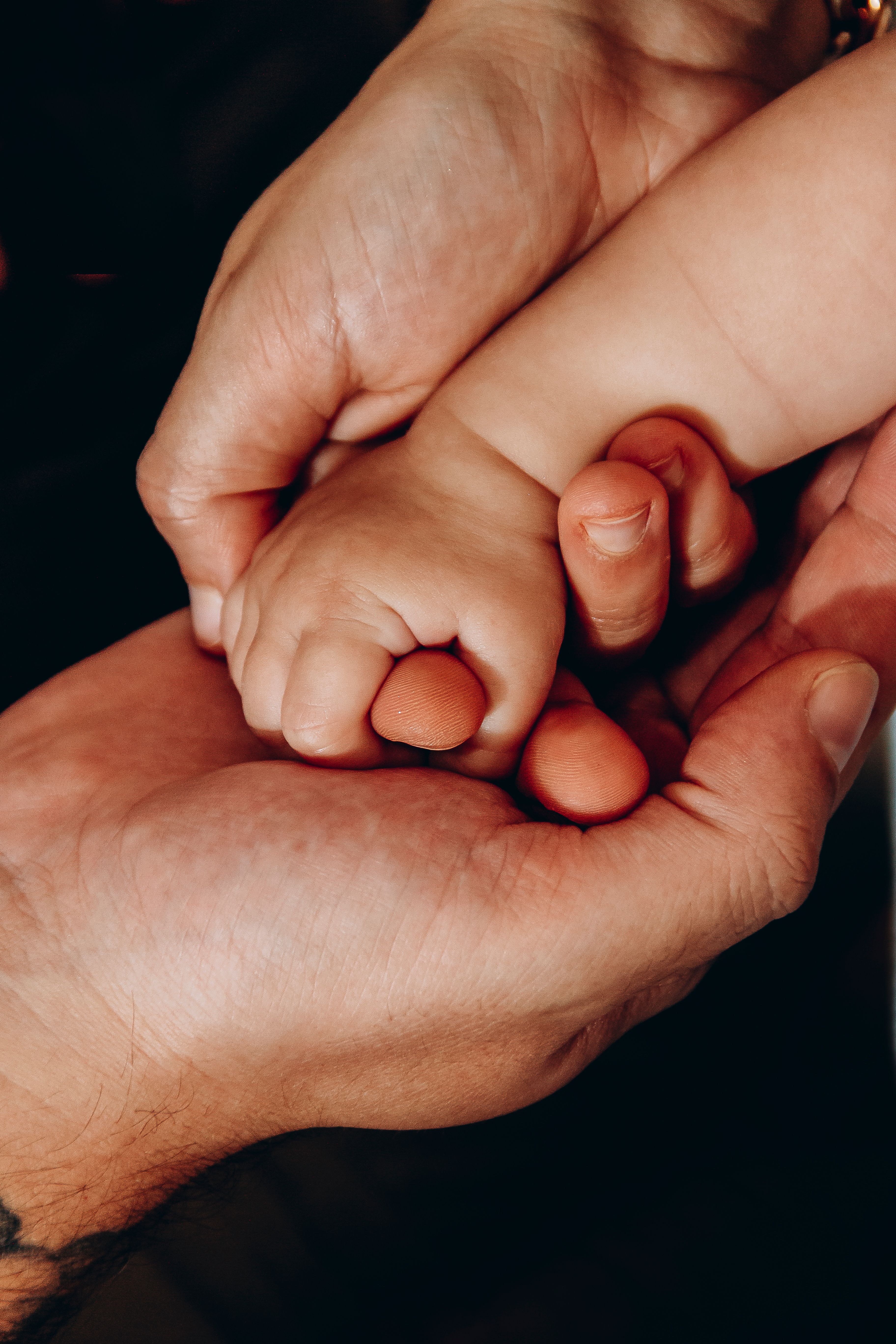 Adult Touching Newborn Hand · Free Stock Photo