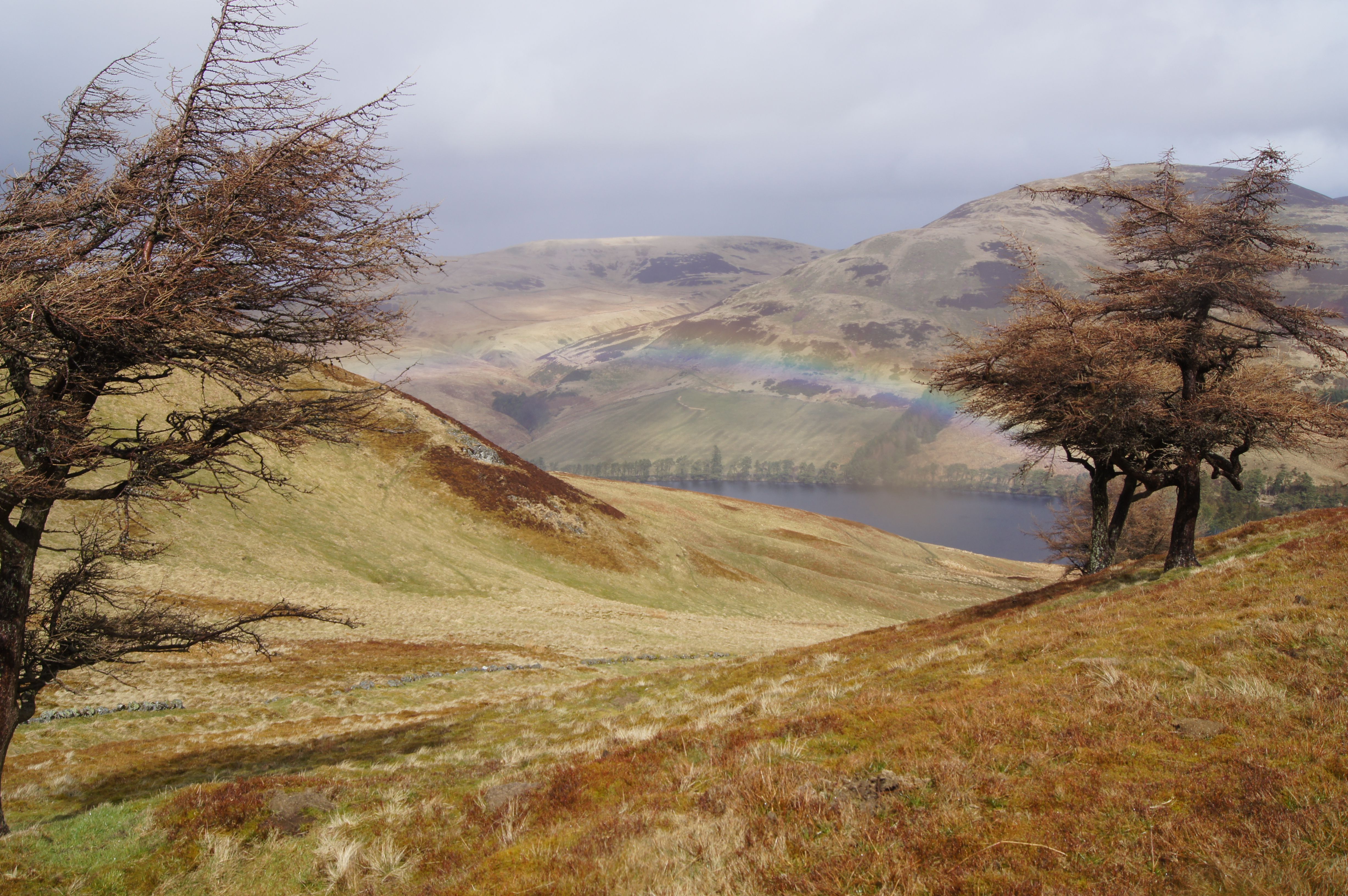 Rainbow in Autumn Mountain Landscape · Free Stock Photo