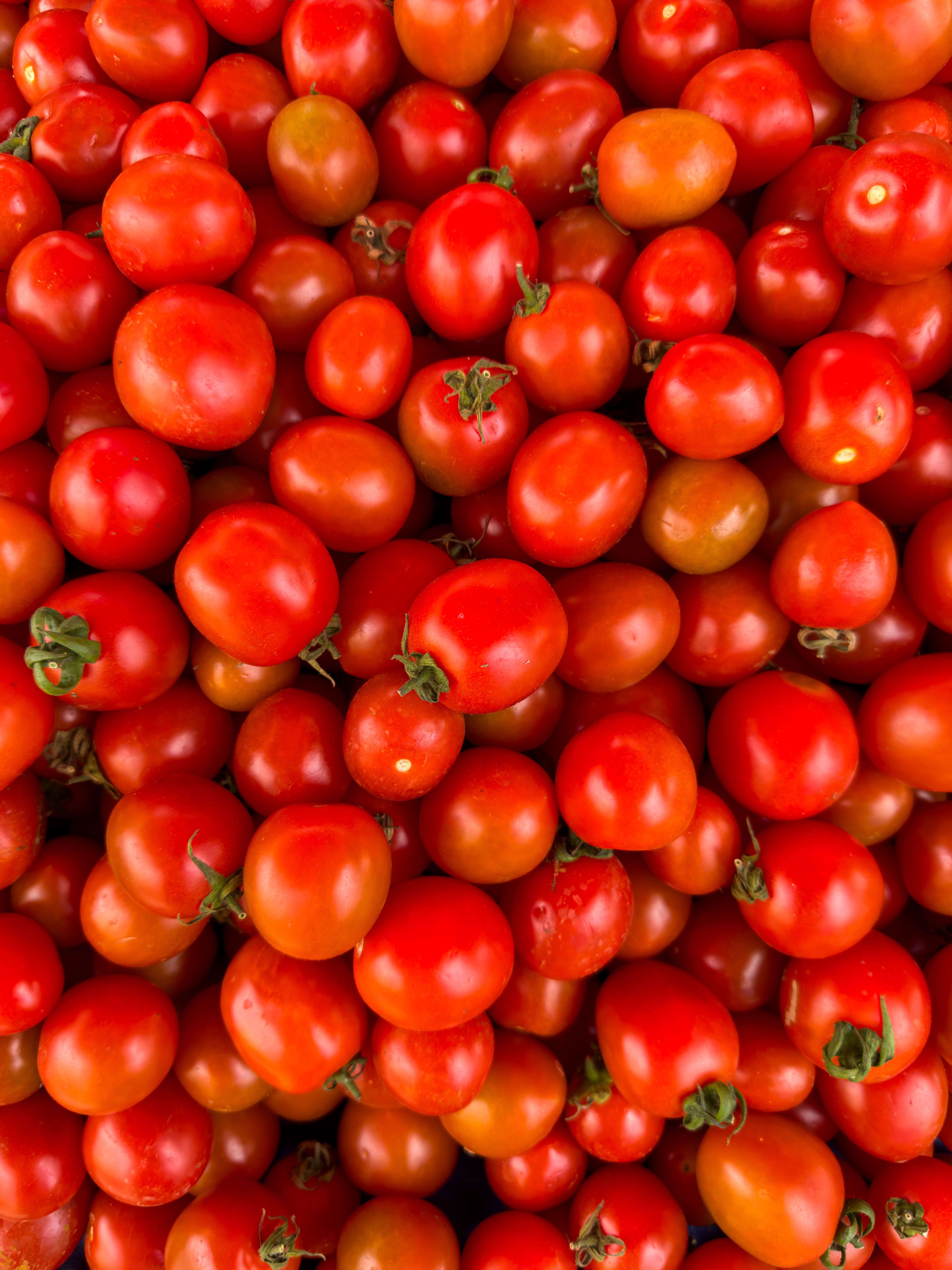 Red Tomatoes on Board · Free Stock Photo