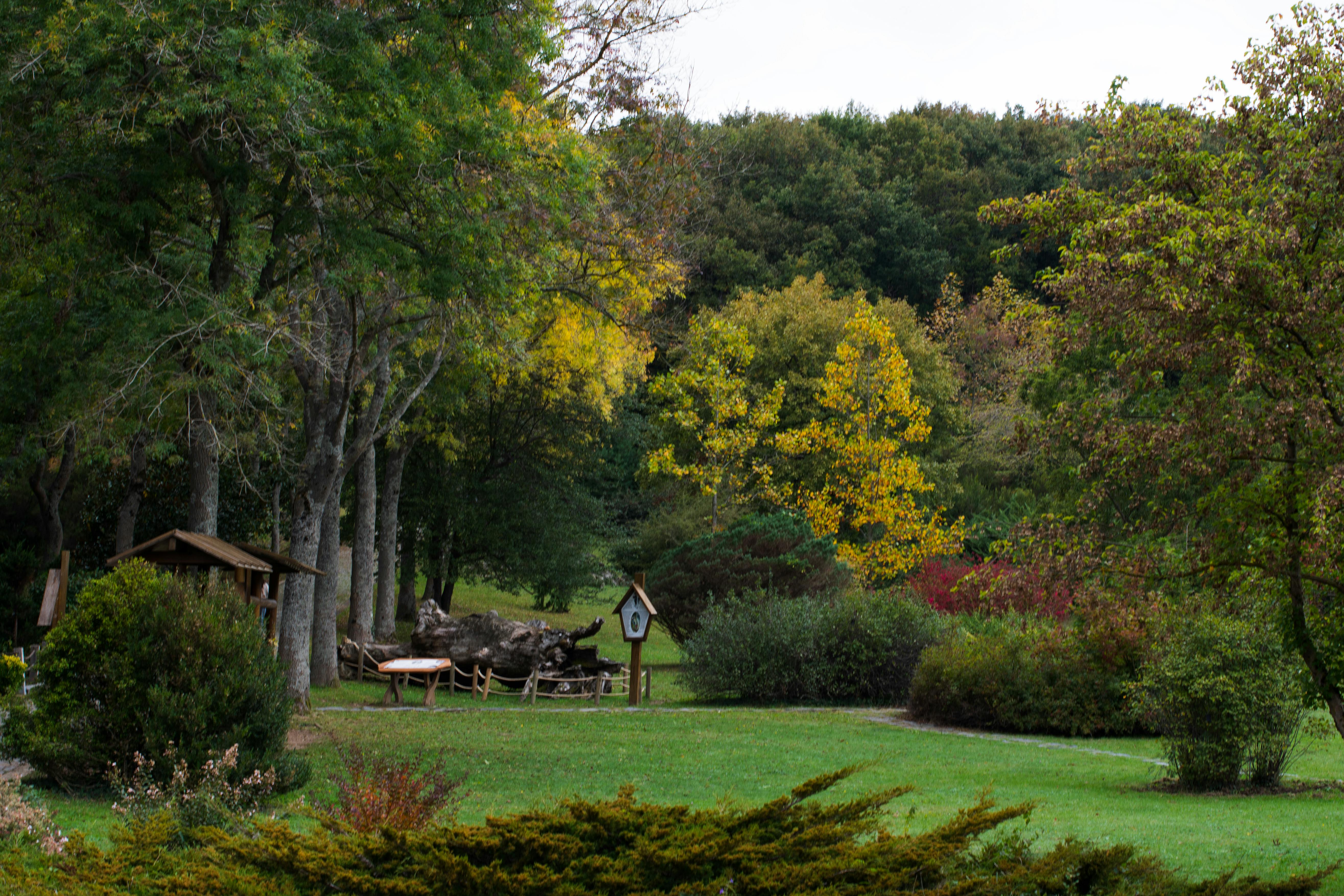 Ozden Ozpehlivan - 사진