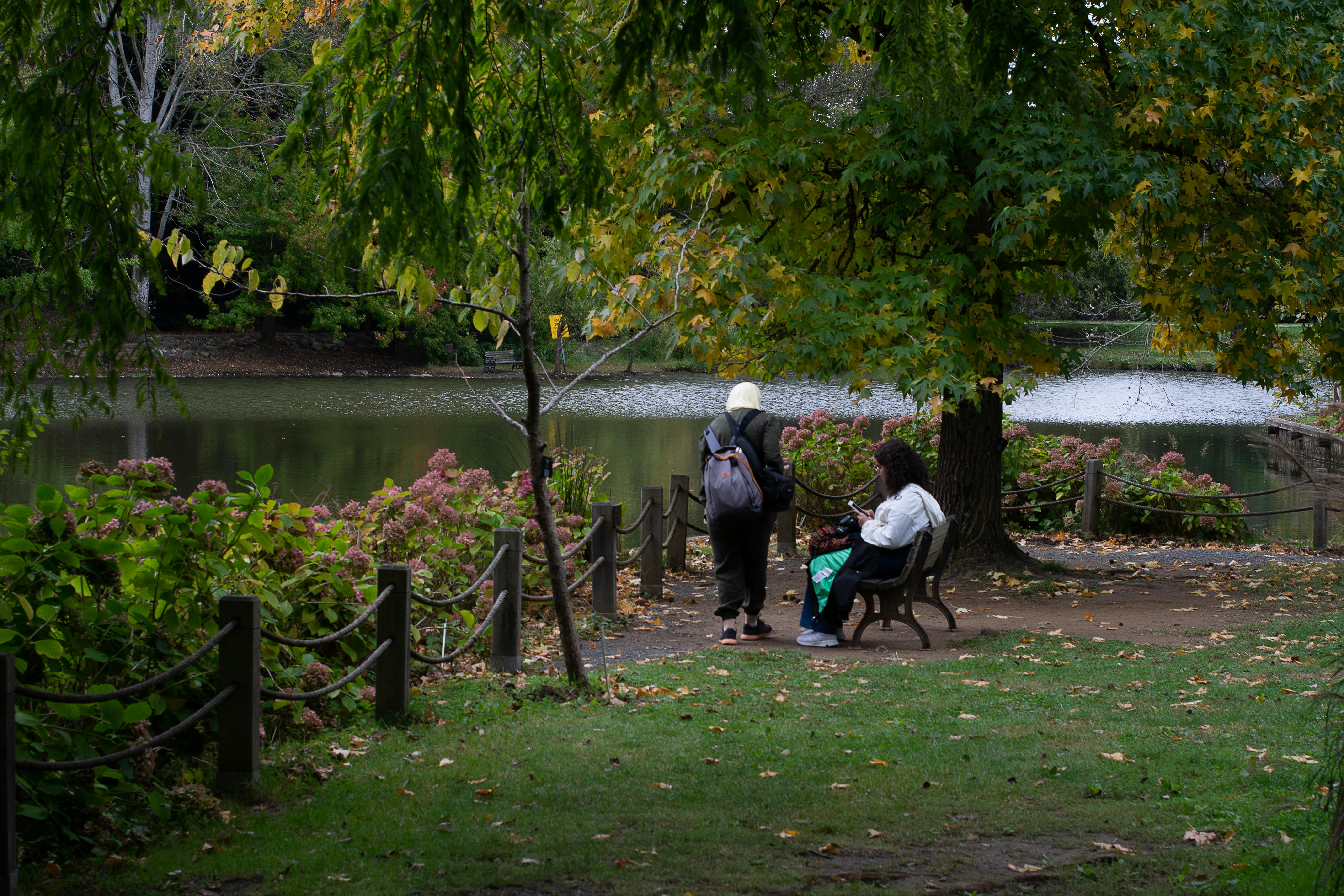 Ozden Ozpehlivan - 사진