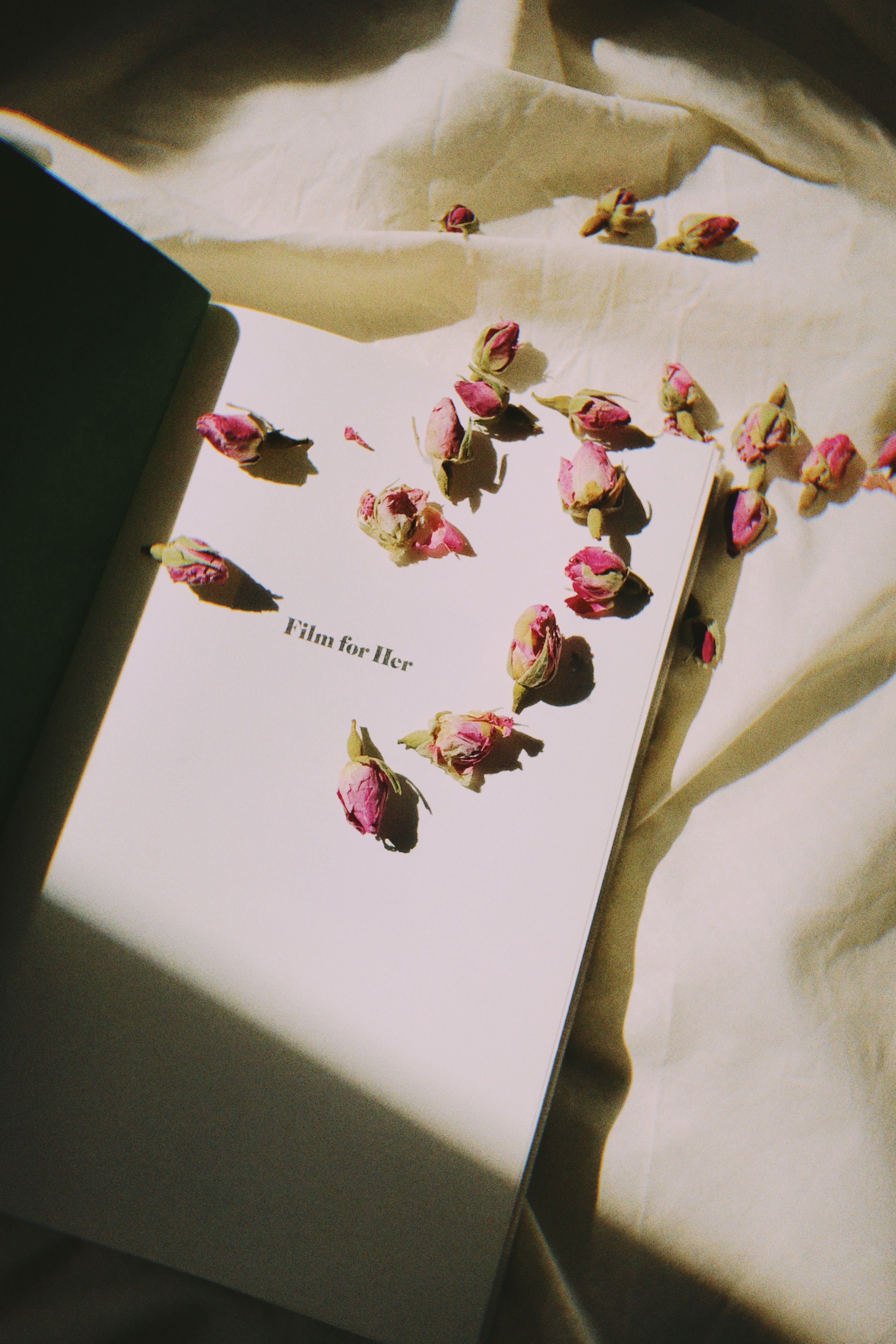 Peragraph Text Photos, Download The BEST Free Peragraph Text Stock ...