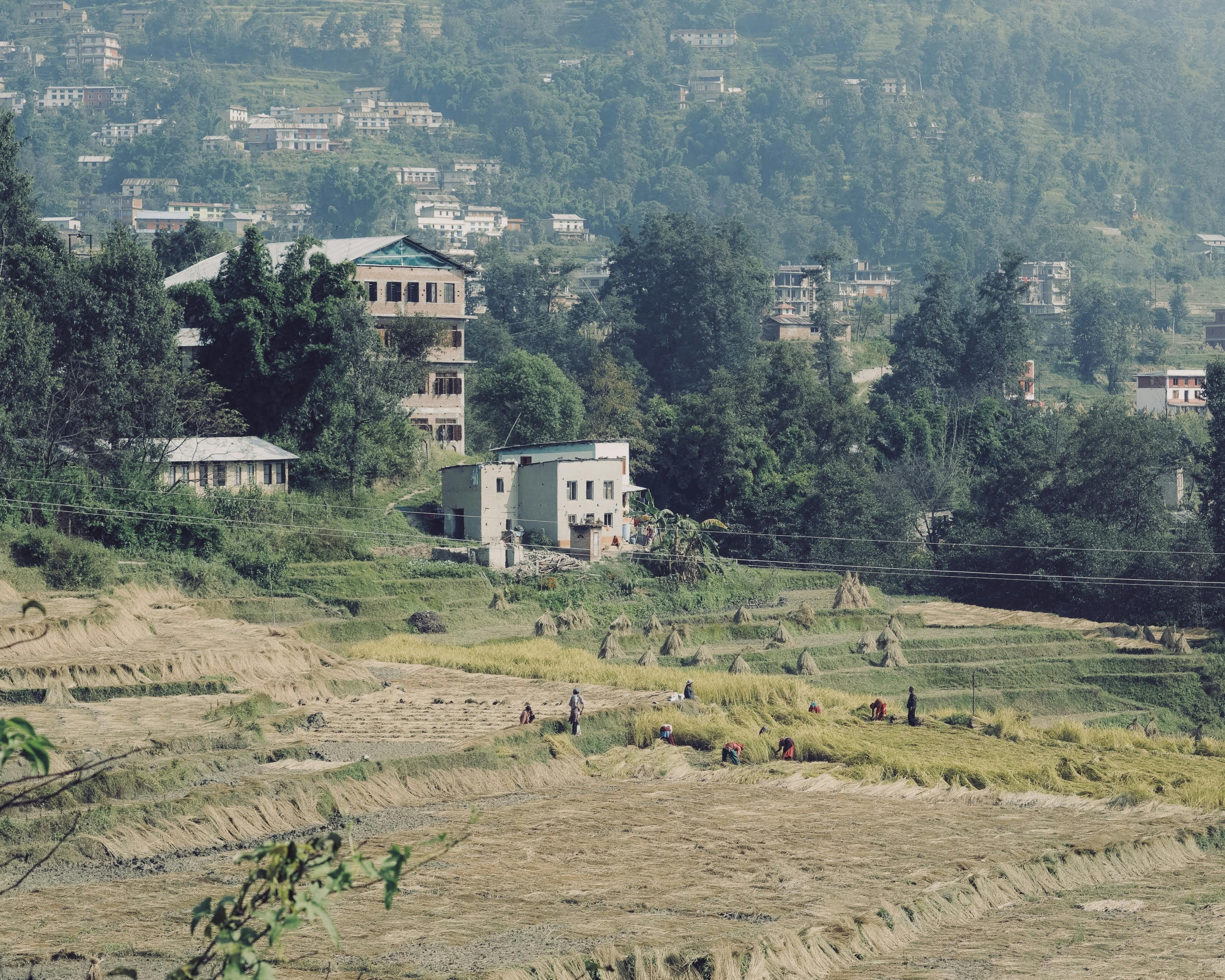 White Walls of Village Houses · Free Stock Photo