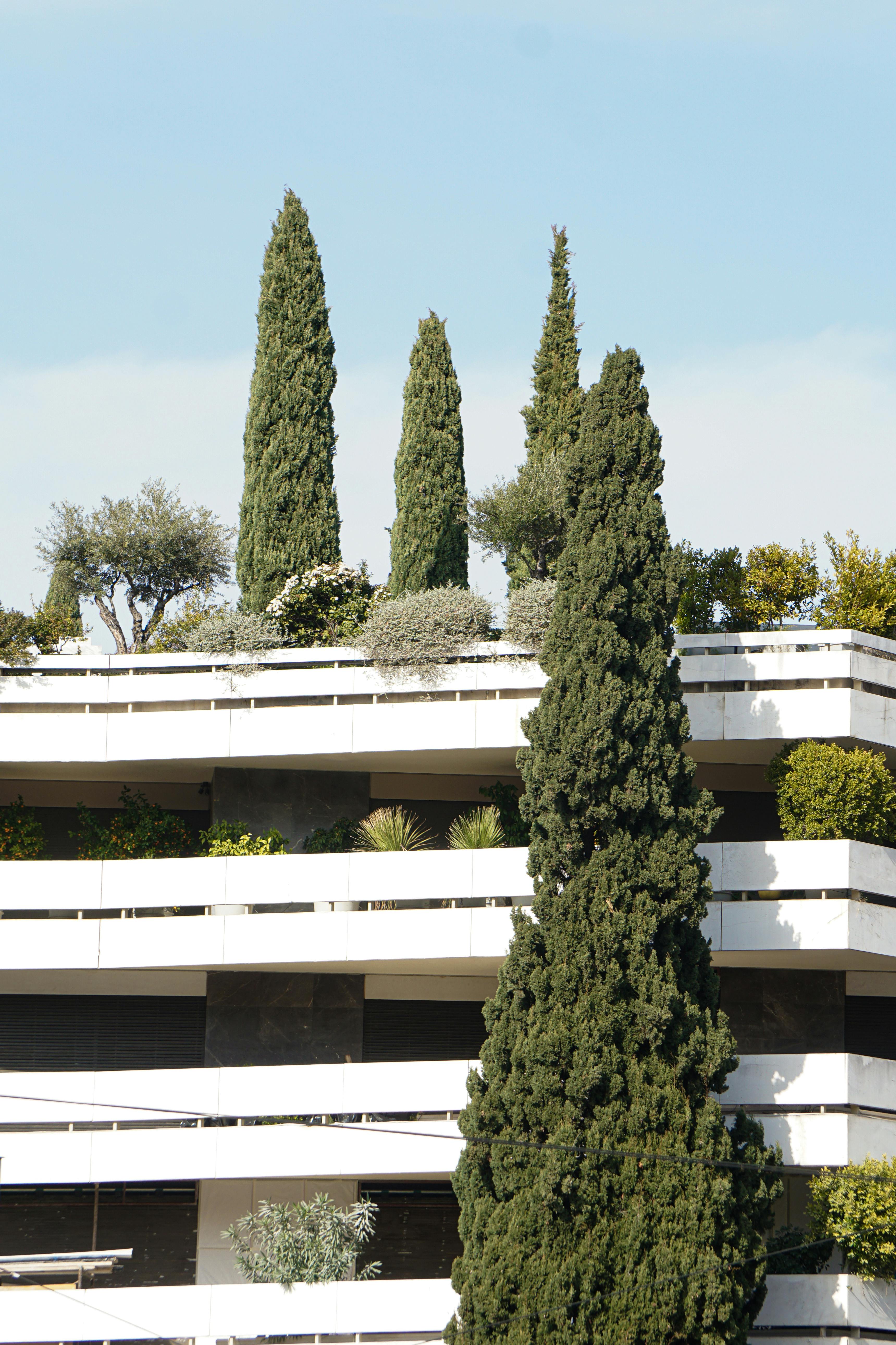 Trees around Parking Lot Building · Free Stock Photo