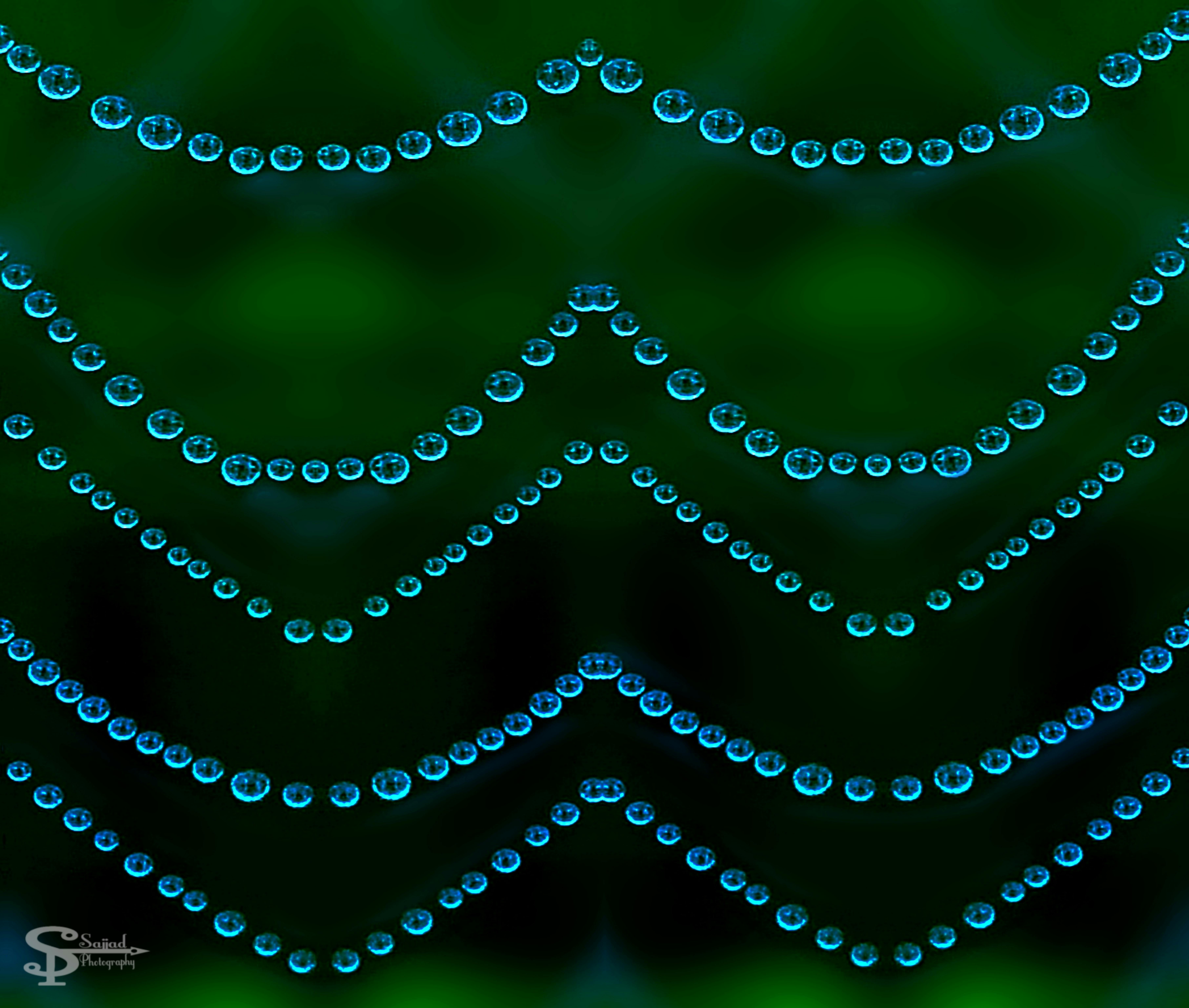 Md Sajjad Hossain · Photography