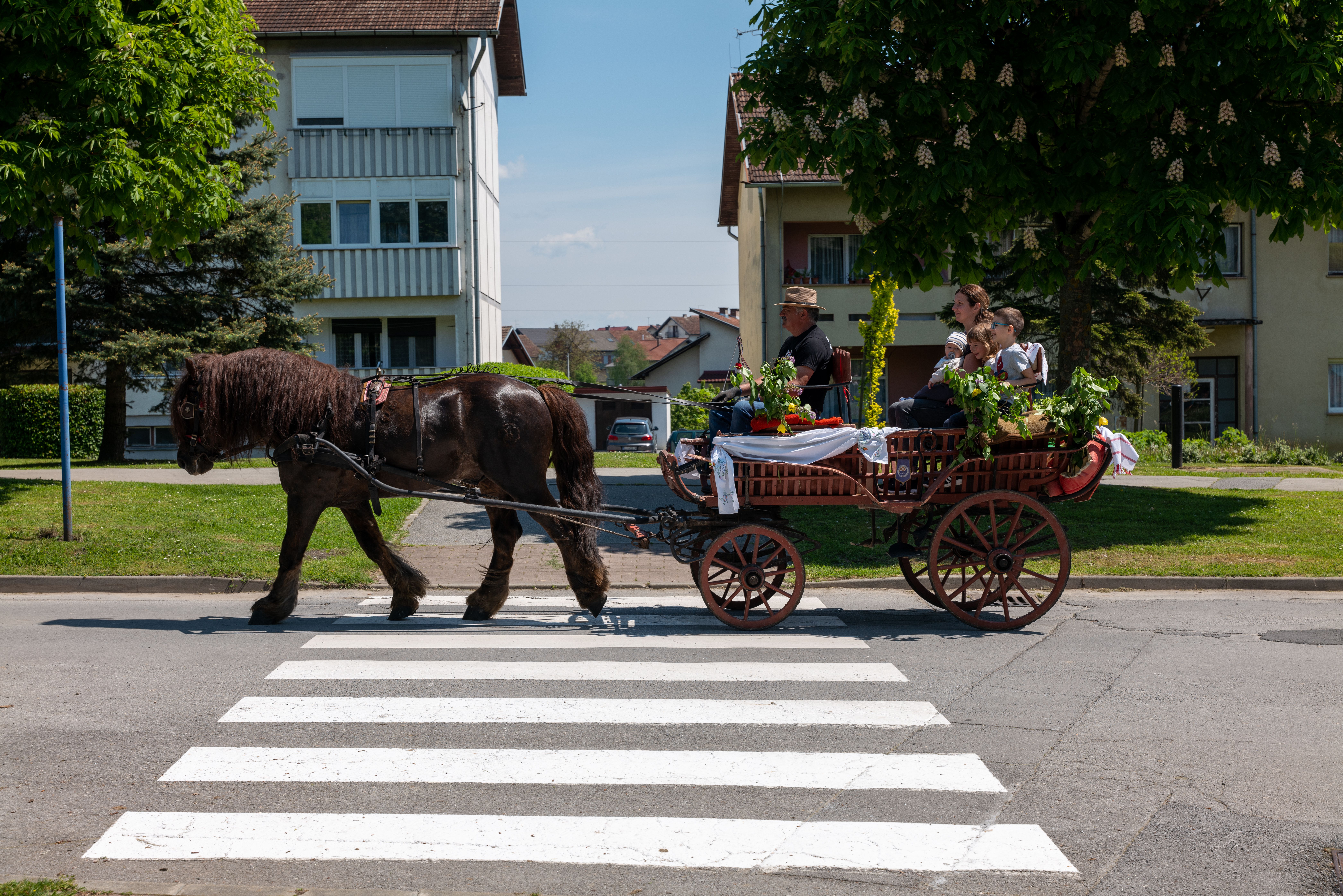 People Riding a Horse-Drawn Carriage · Free Stock Photo