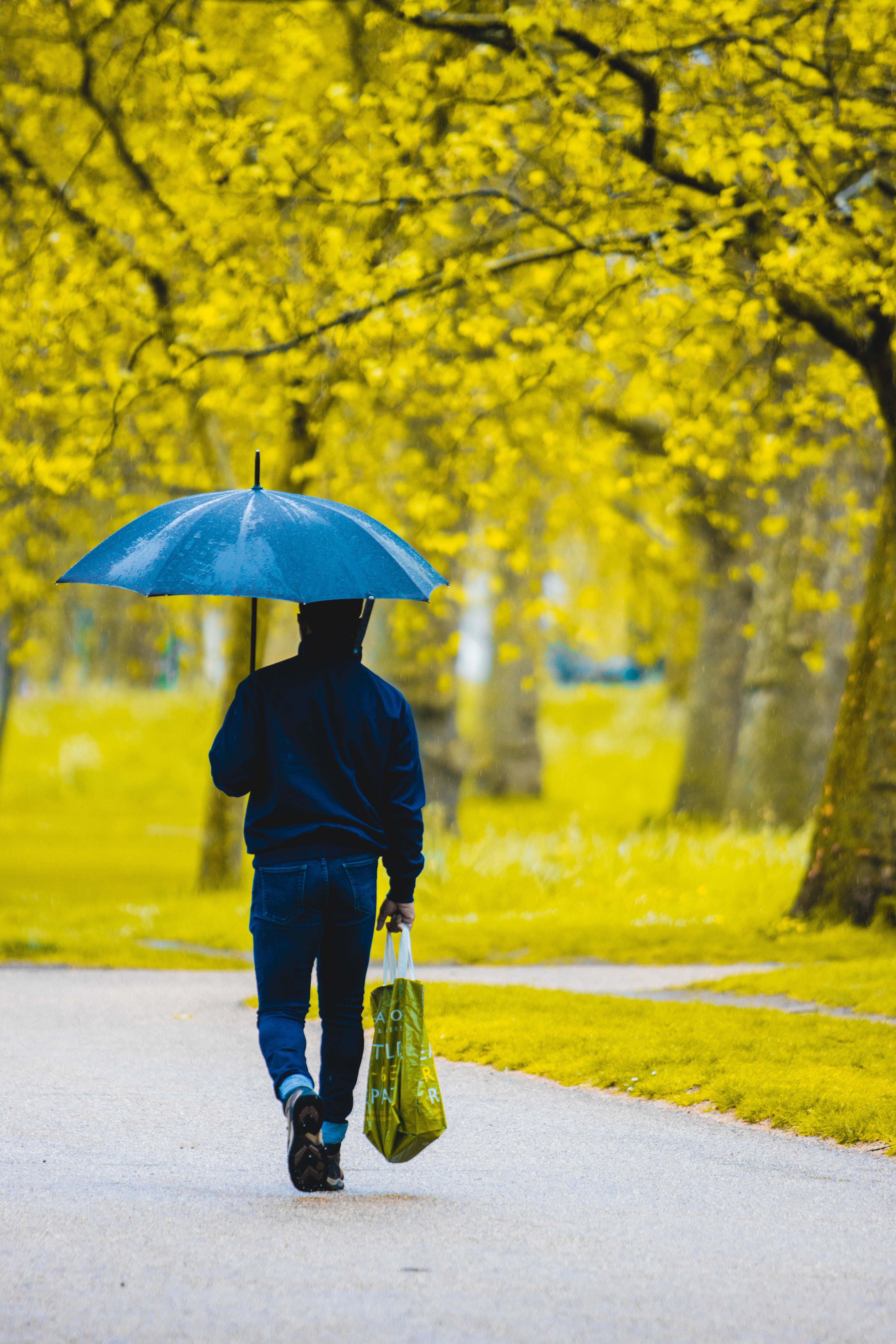 Man Walking on a Path in Park · Free Stock Photo