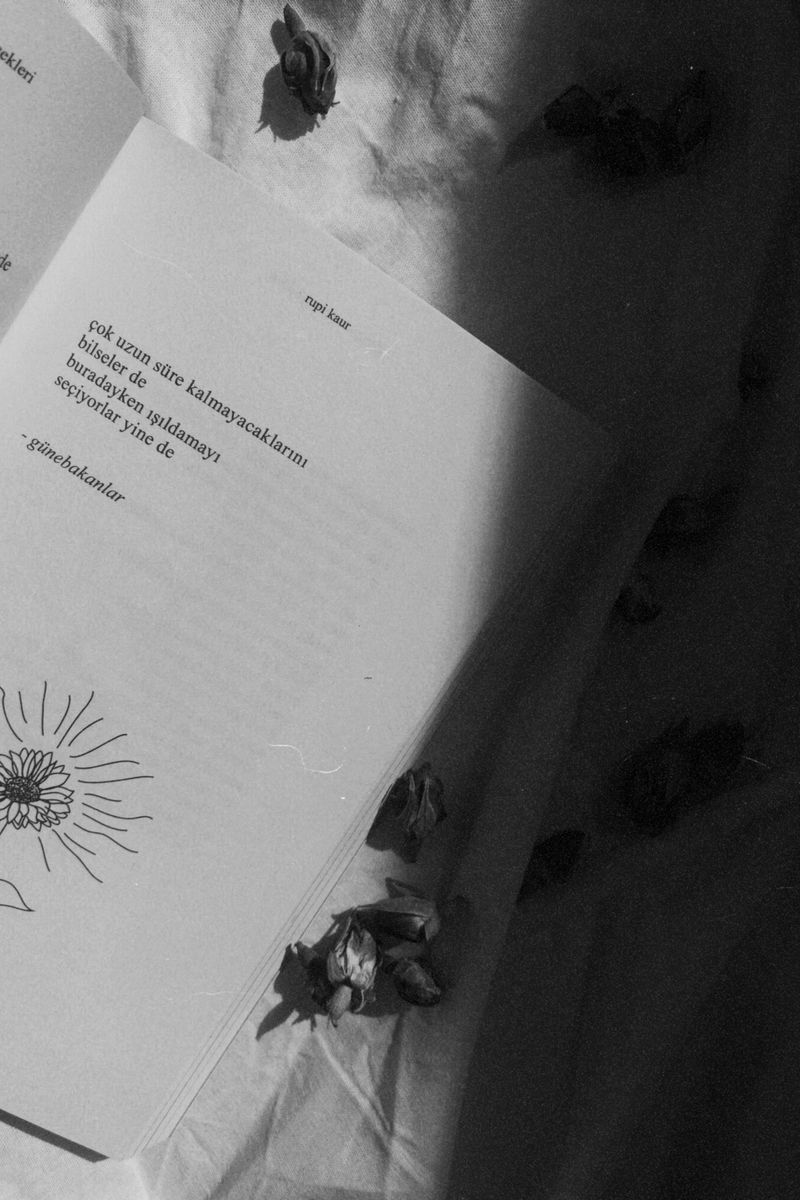 Poetry Book Photos, Download The BEST Free Poetry Book Stock Photos ...