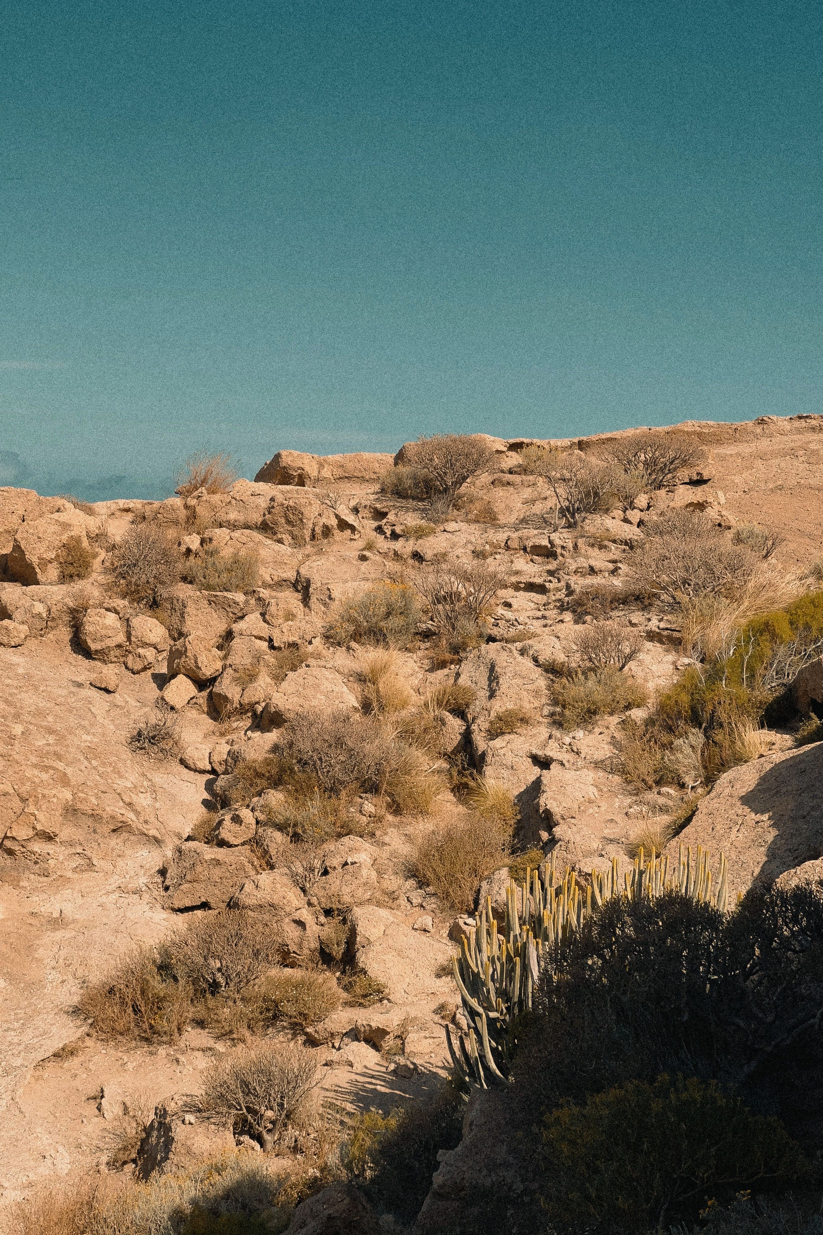 Rocky Mountain Edge · Free Stock Photo