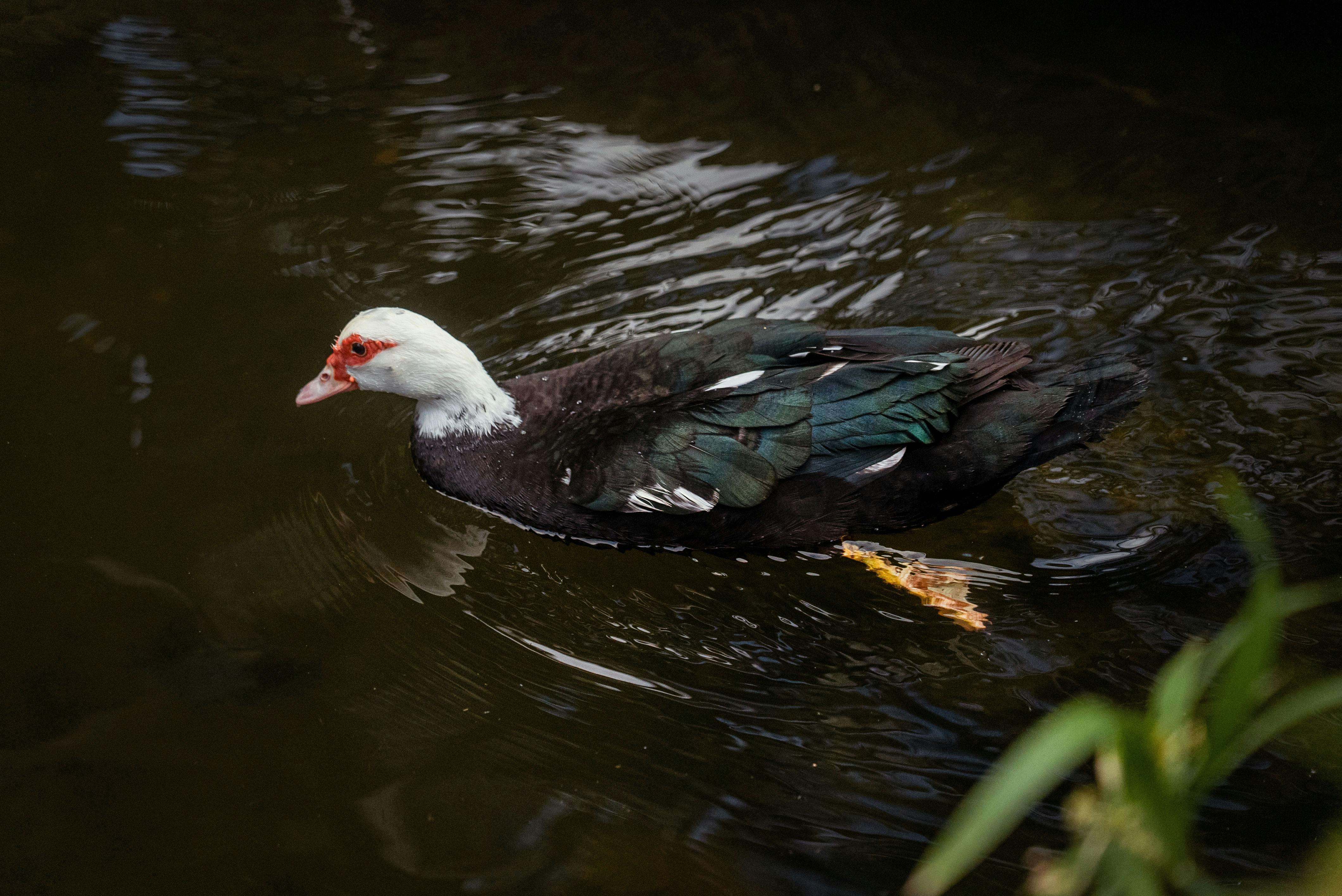 Nature Minimalist Wallpaper Photos, Download The BEST Free Nature ...