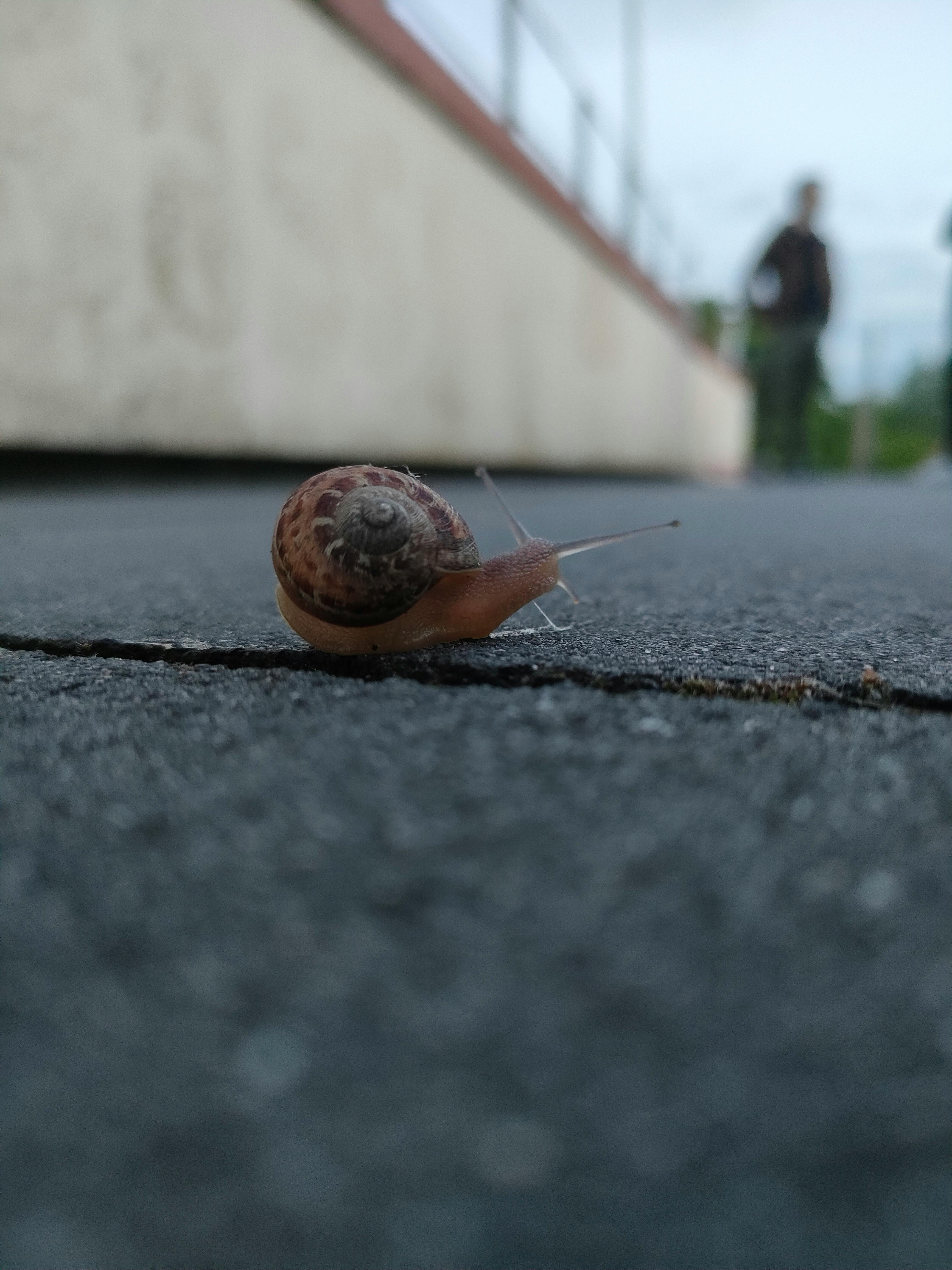 Zied Rezgui - Photography