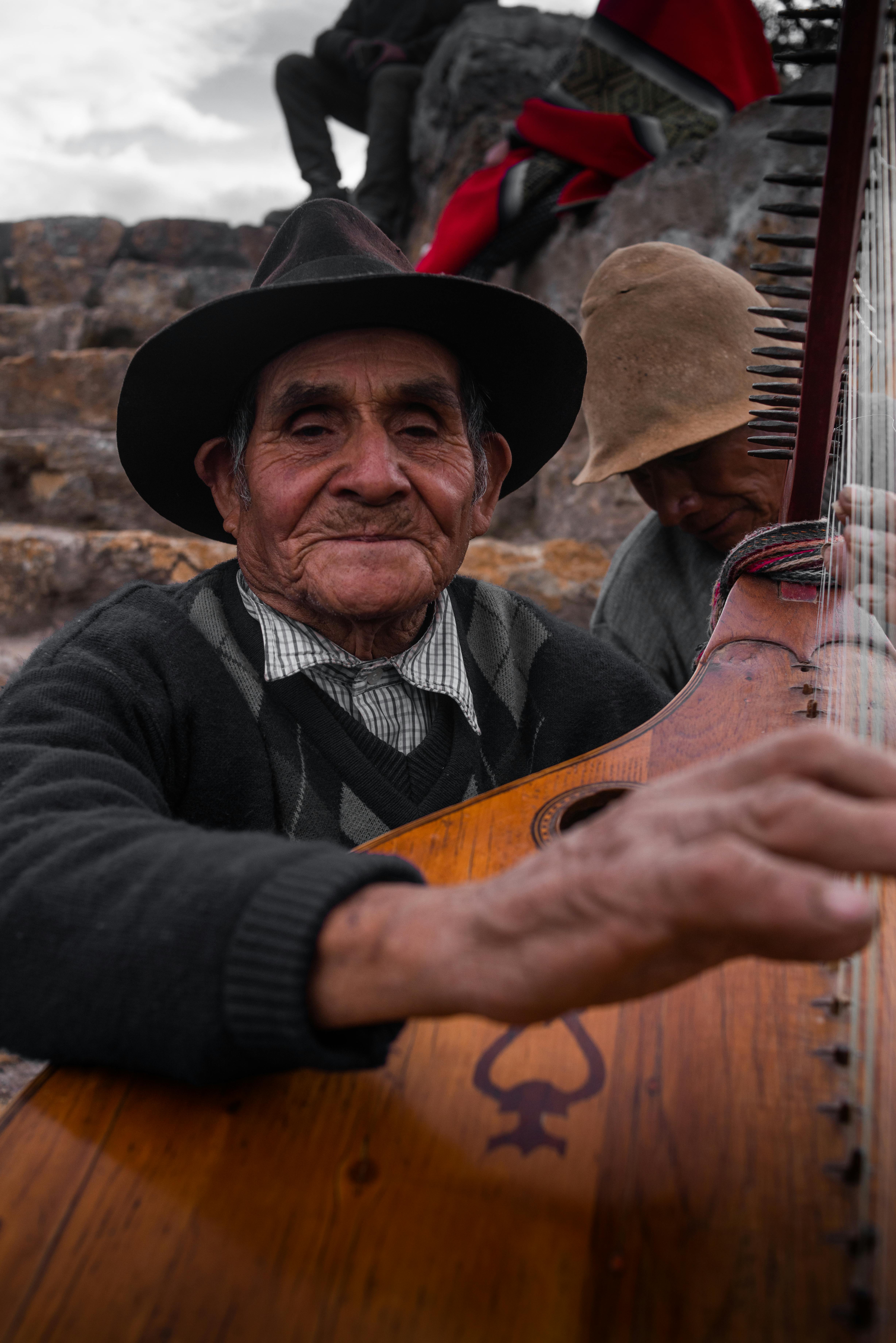 Harp Photos, Download The BEST Free Harp Stock Photos & HD Images