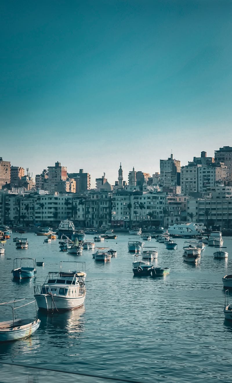 Alexandria Photos, Download The BEST Free Alexandria Stock Photos & HD ...
