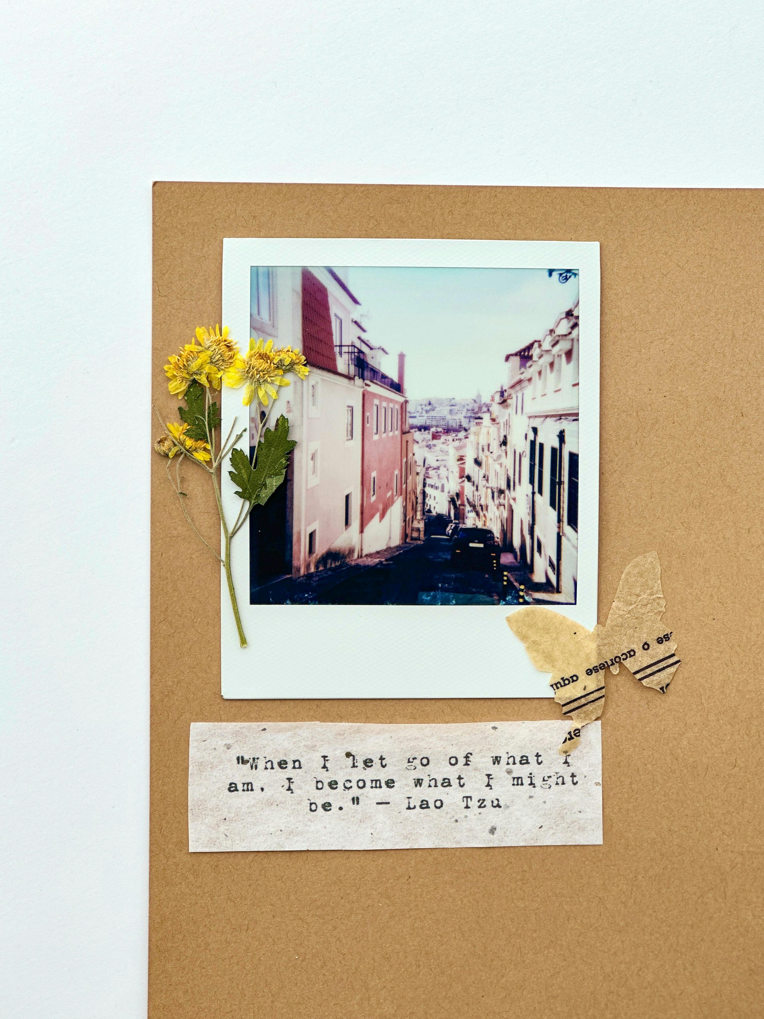 Bien Noté Photos, Download The BEST Free Bien Noté Stock Photos & HD Images