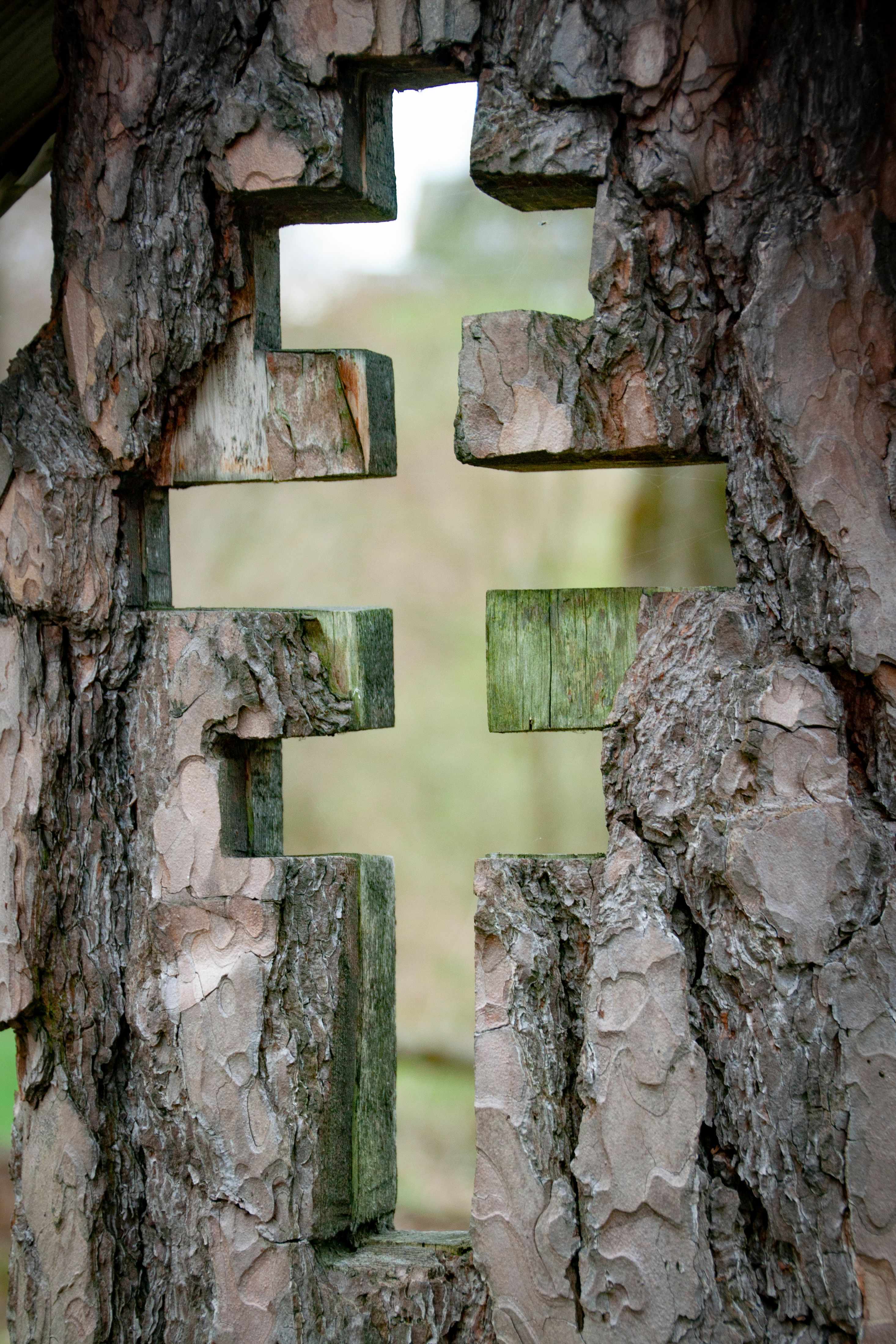 A Symbol Carved in Wood · Free Stock Photo