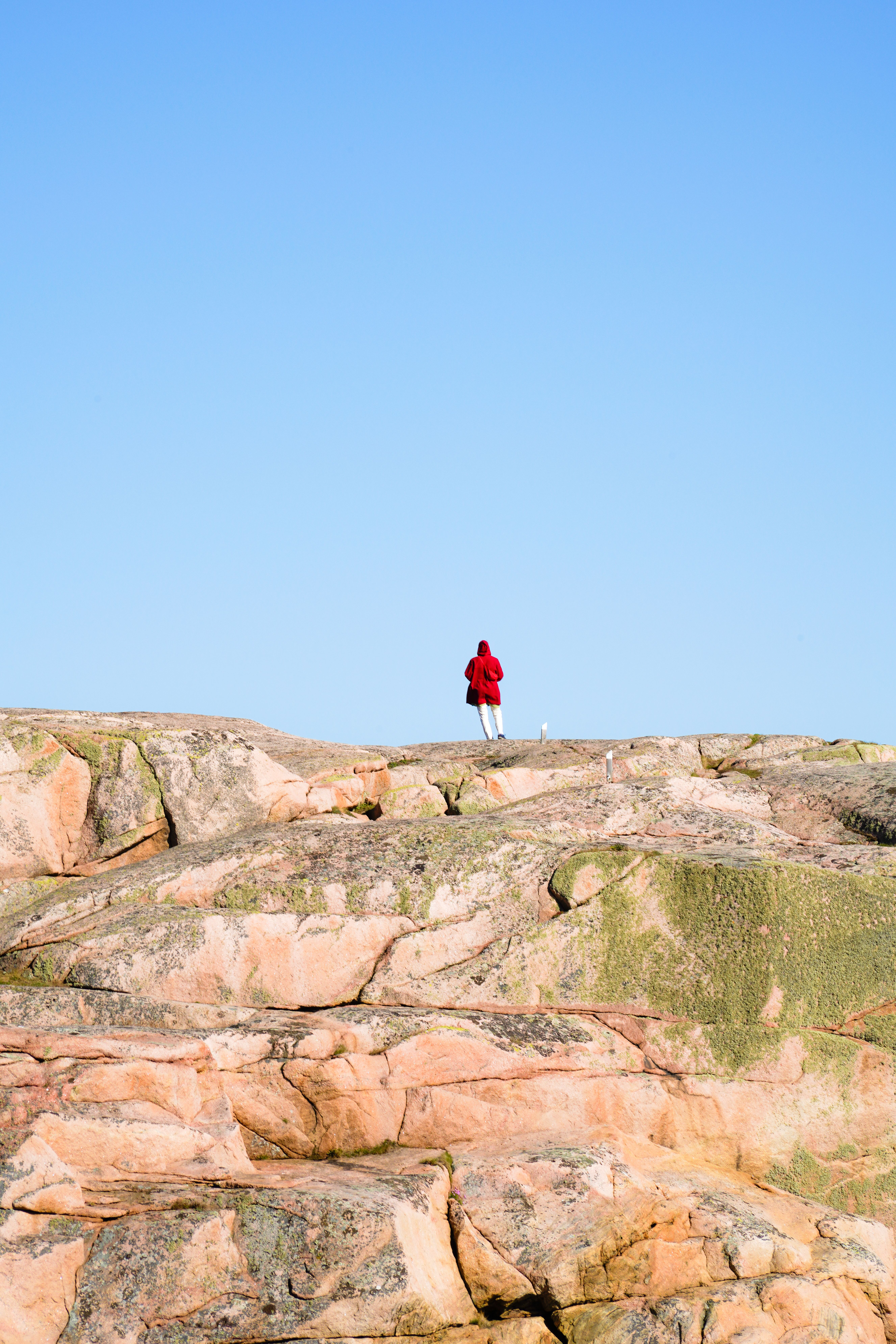 Man Standing Near the Cliff · Free Stock Photo