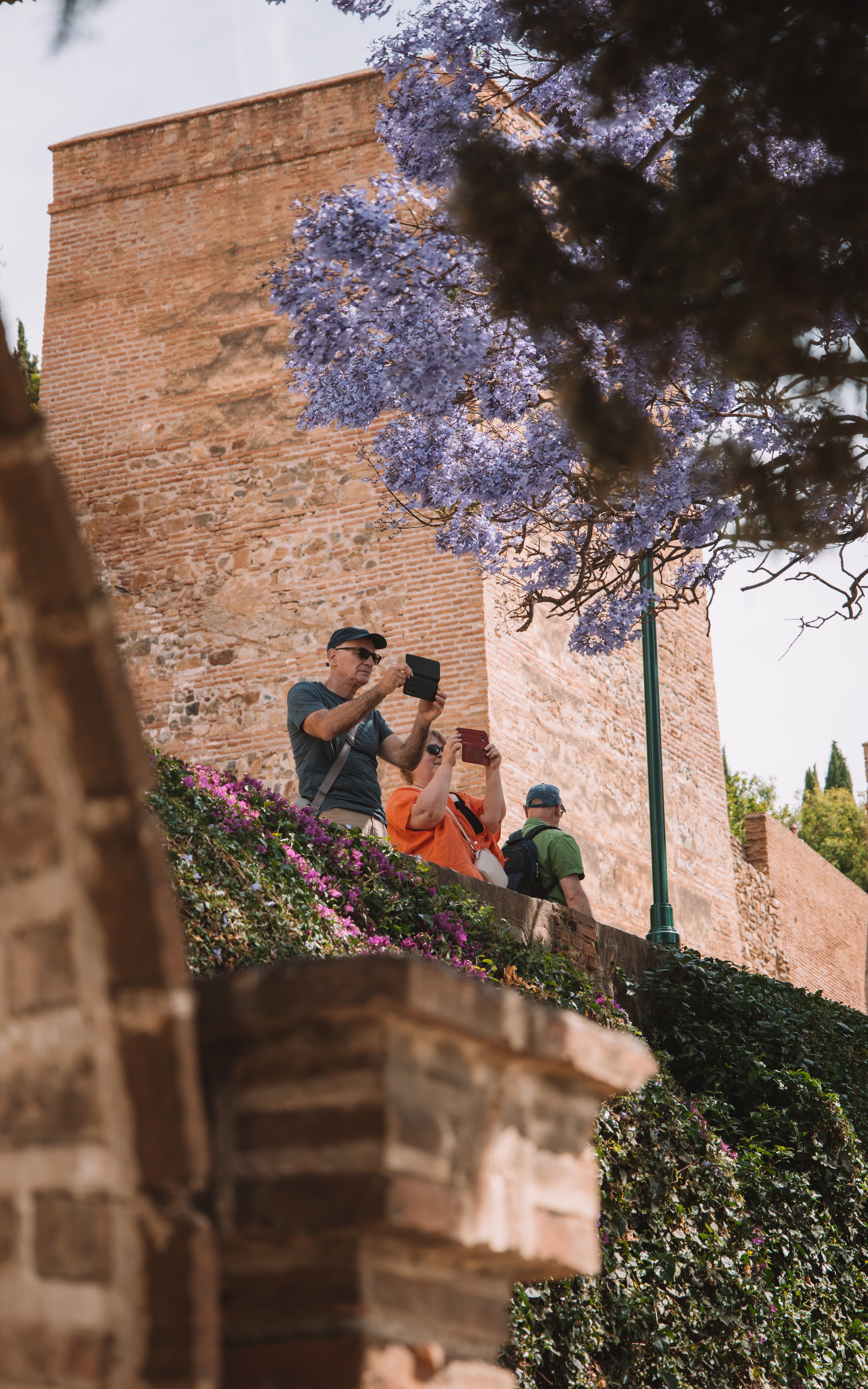 Tourists Taking Pictures while Sightseeing a Town · Free Stock Photo