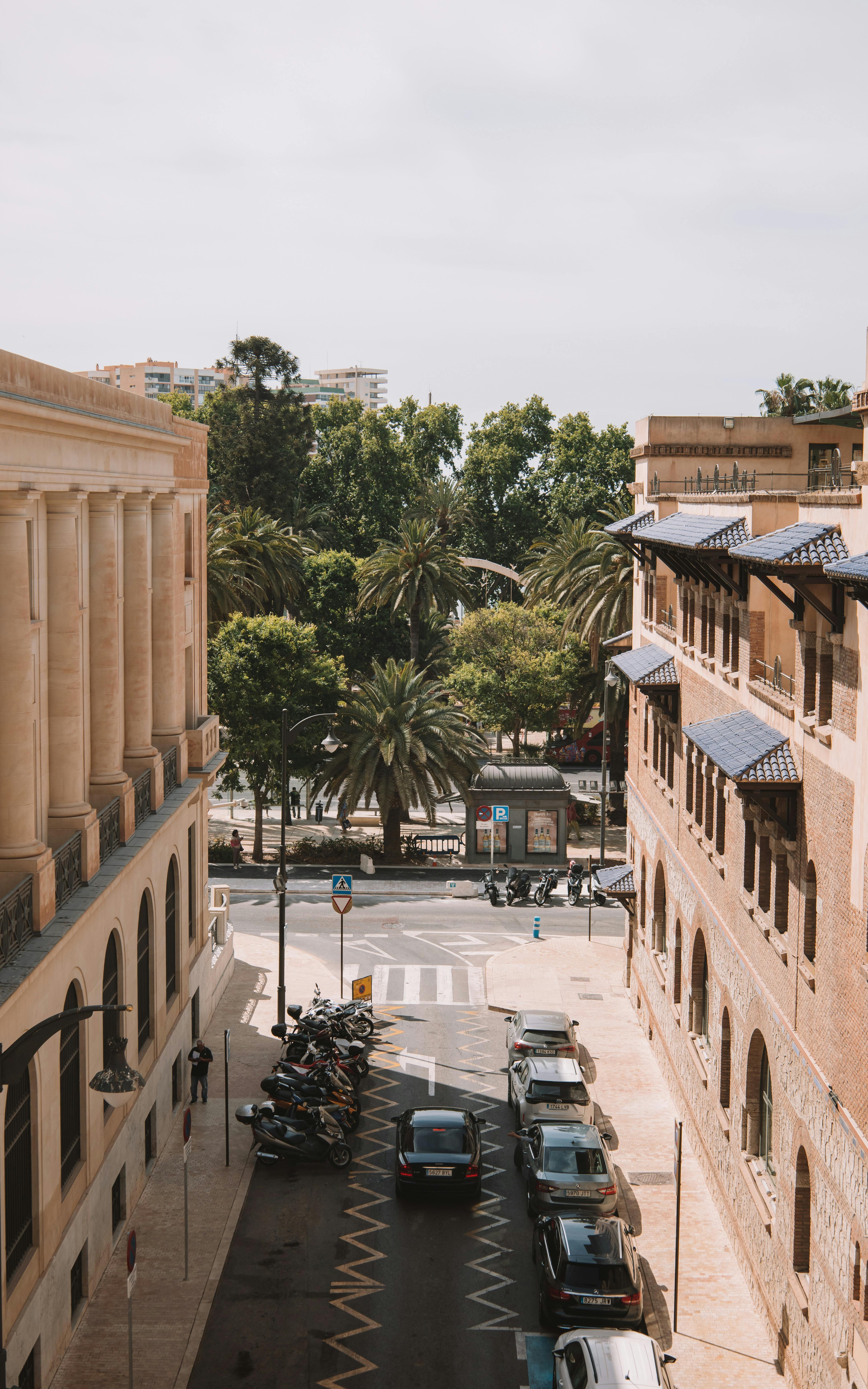 Street near Park in Town · Free Stock Photo