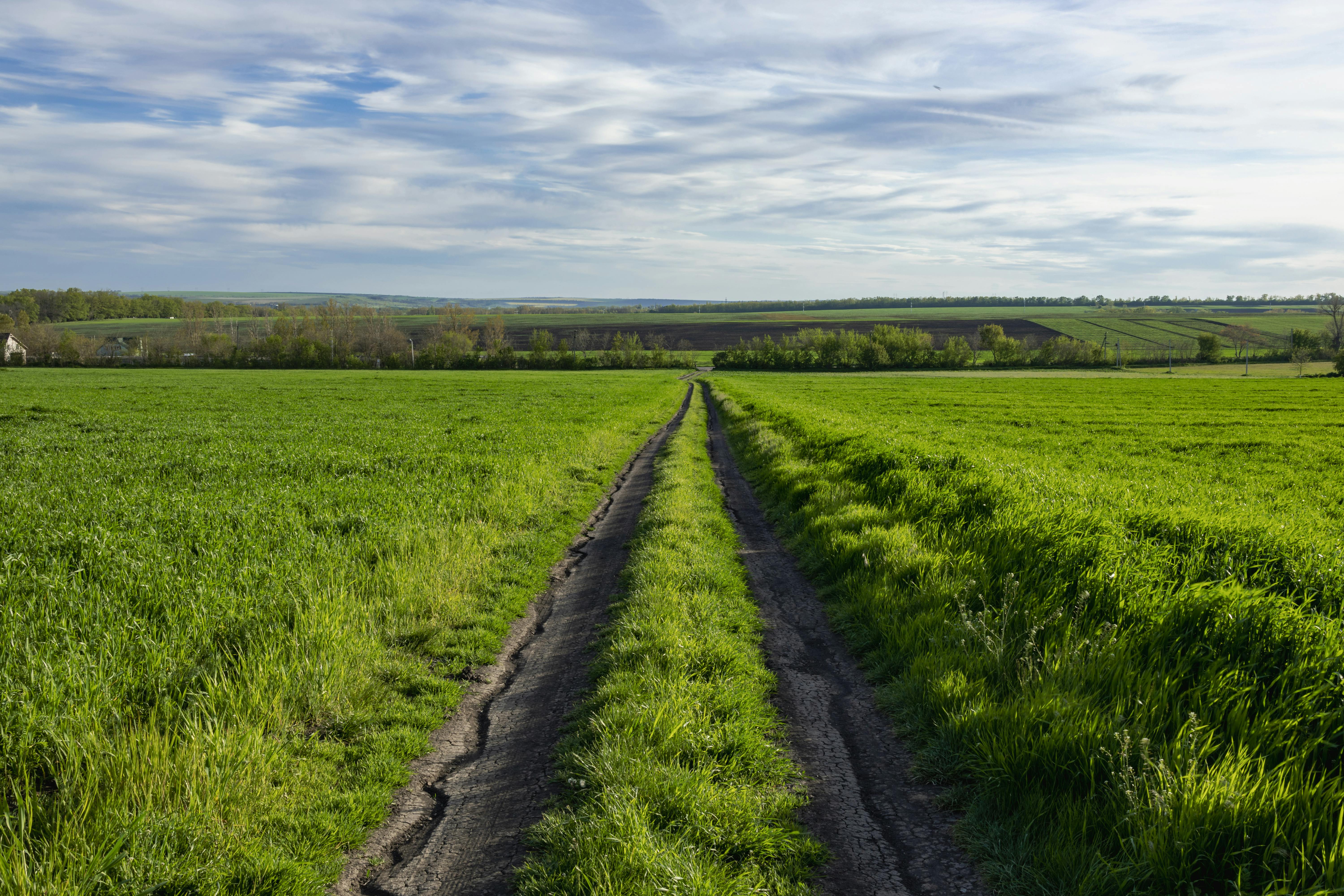 Tractor Path Photos, Download The BEST Free Tractor Path Stock Photos ...