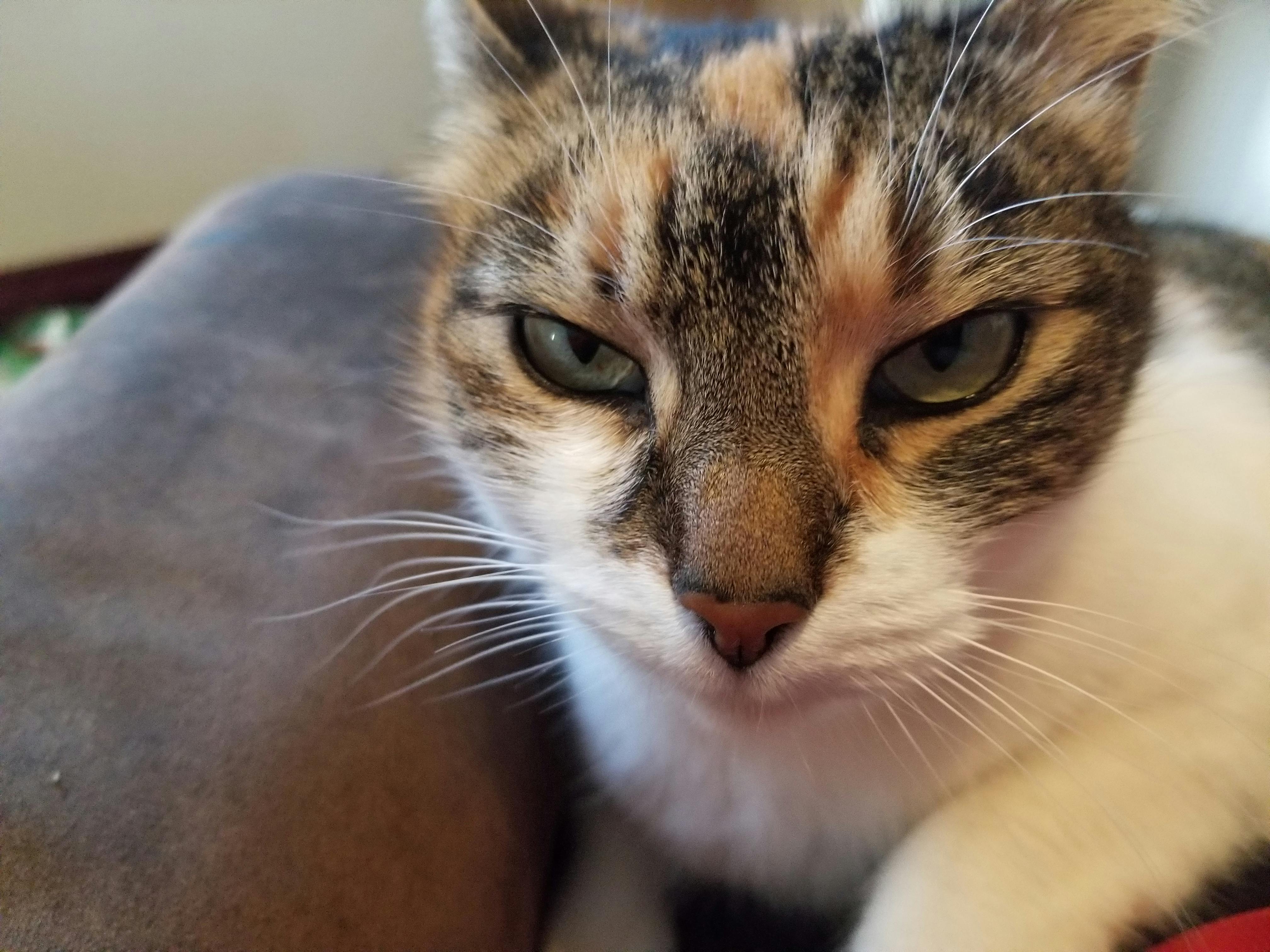 Paul Simpson - 摄影