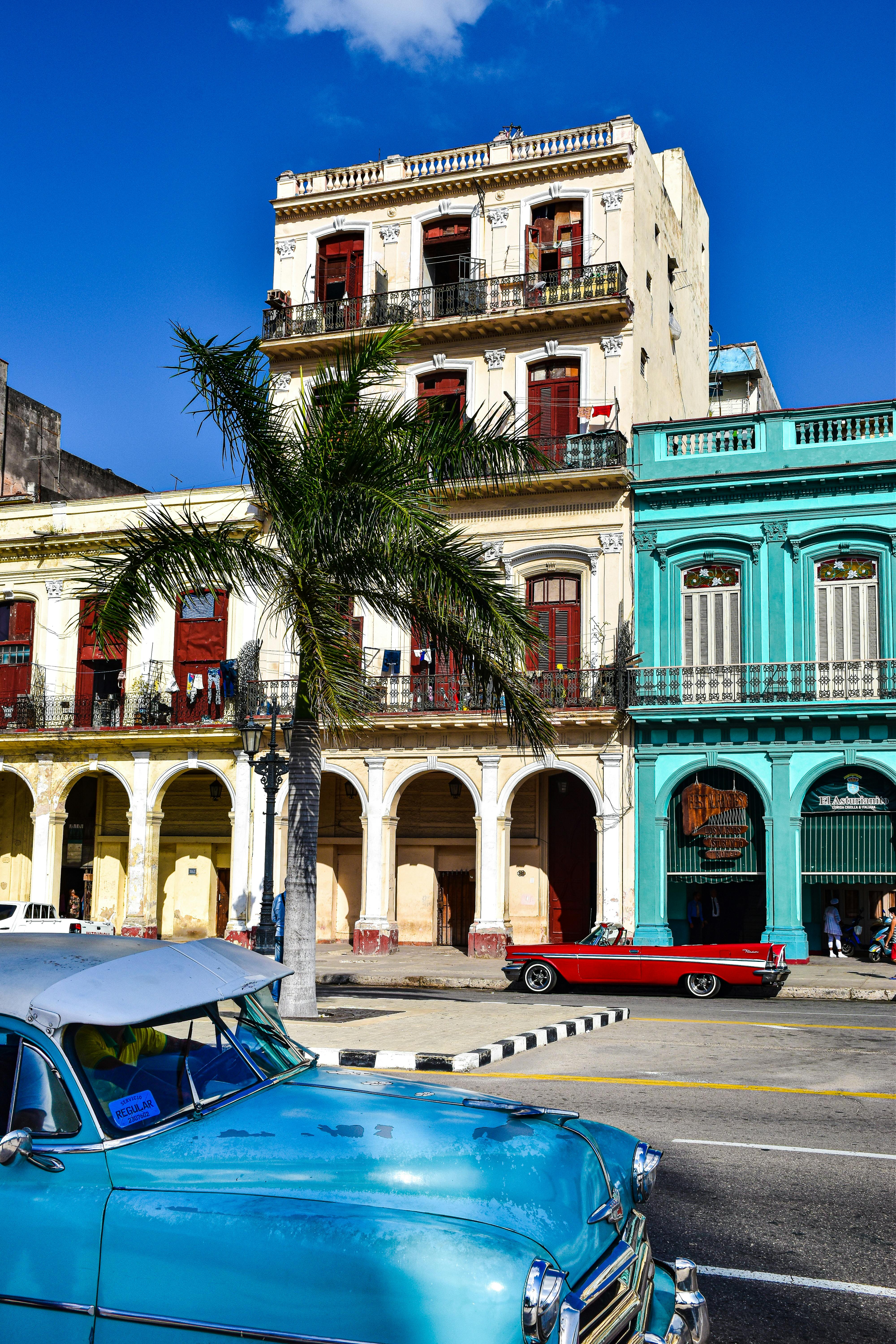 Foto stok gratis tentang @ luar, amerika latin, amerika utara ...