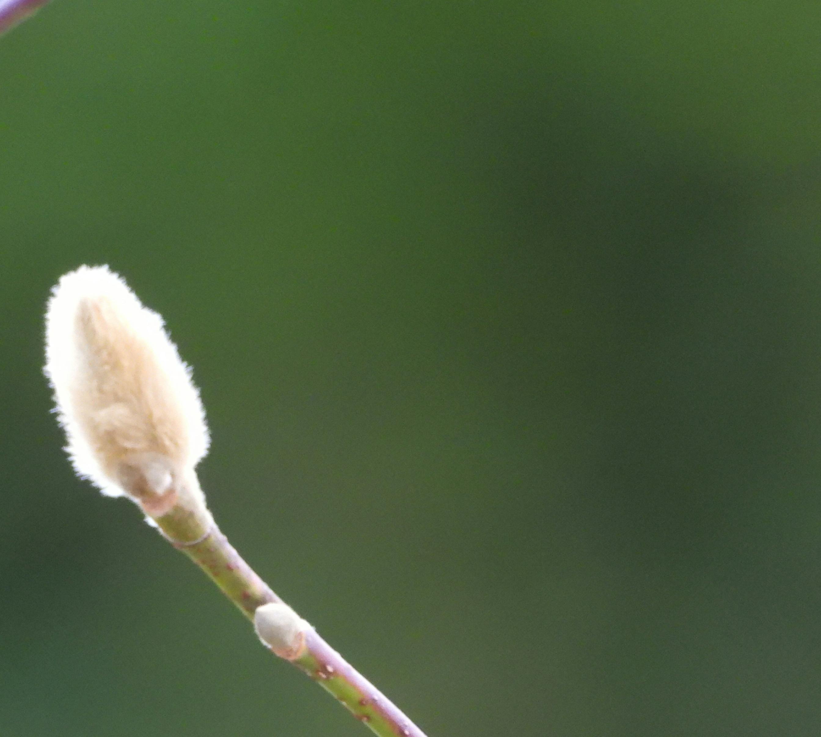 Paul Simpson - 摄影