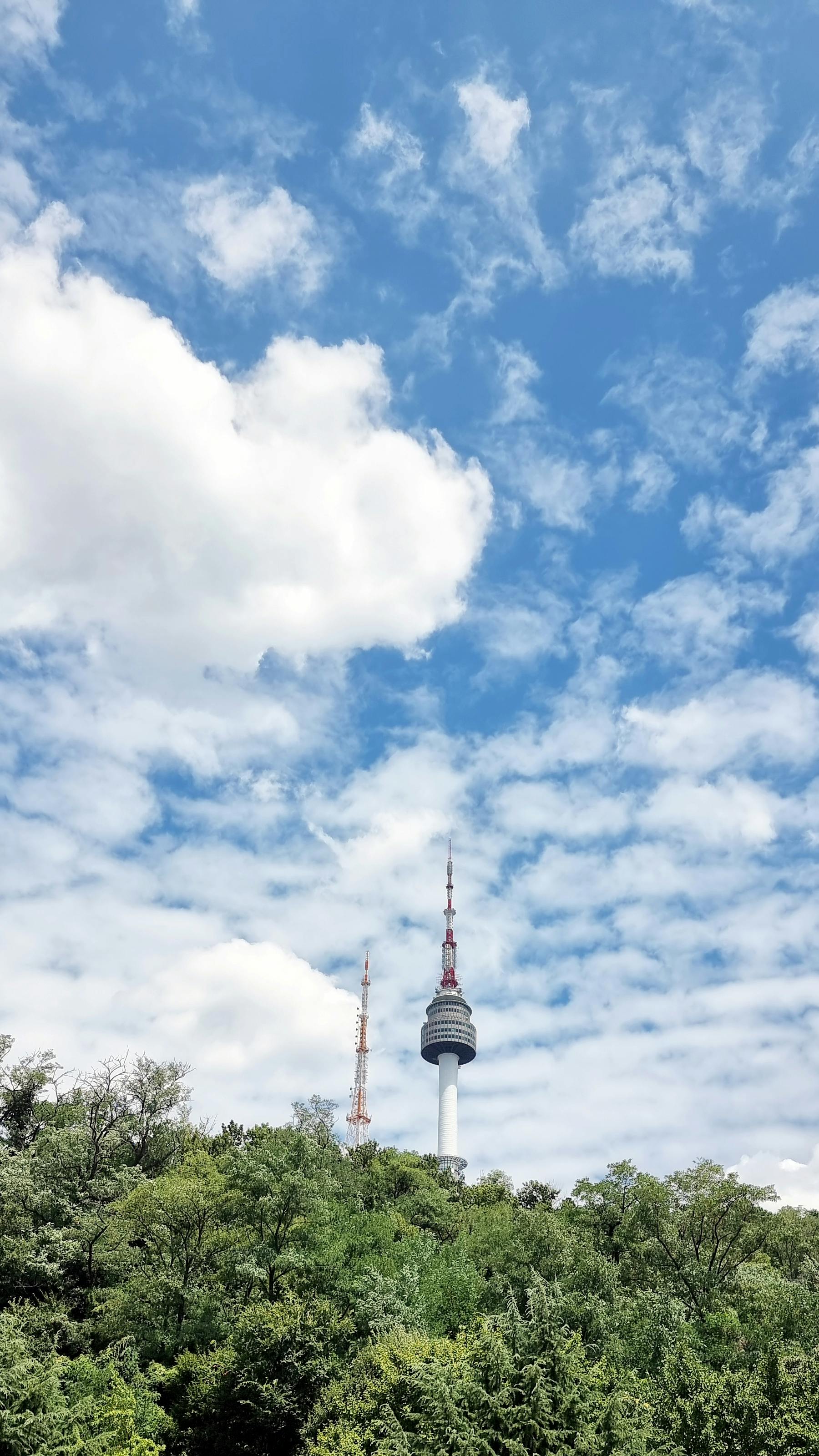 Sky With Trees Photos, Download The BEST Free Sky With Trees Stock ...