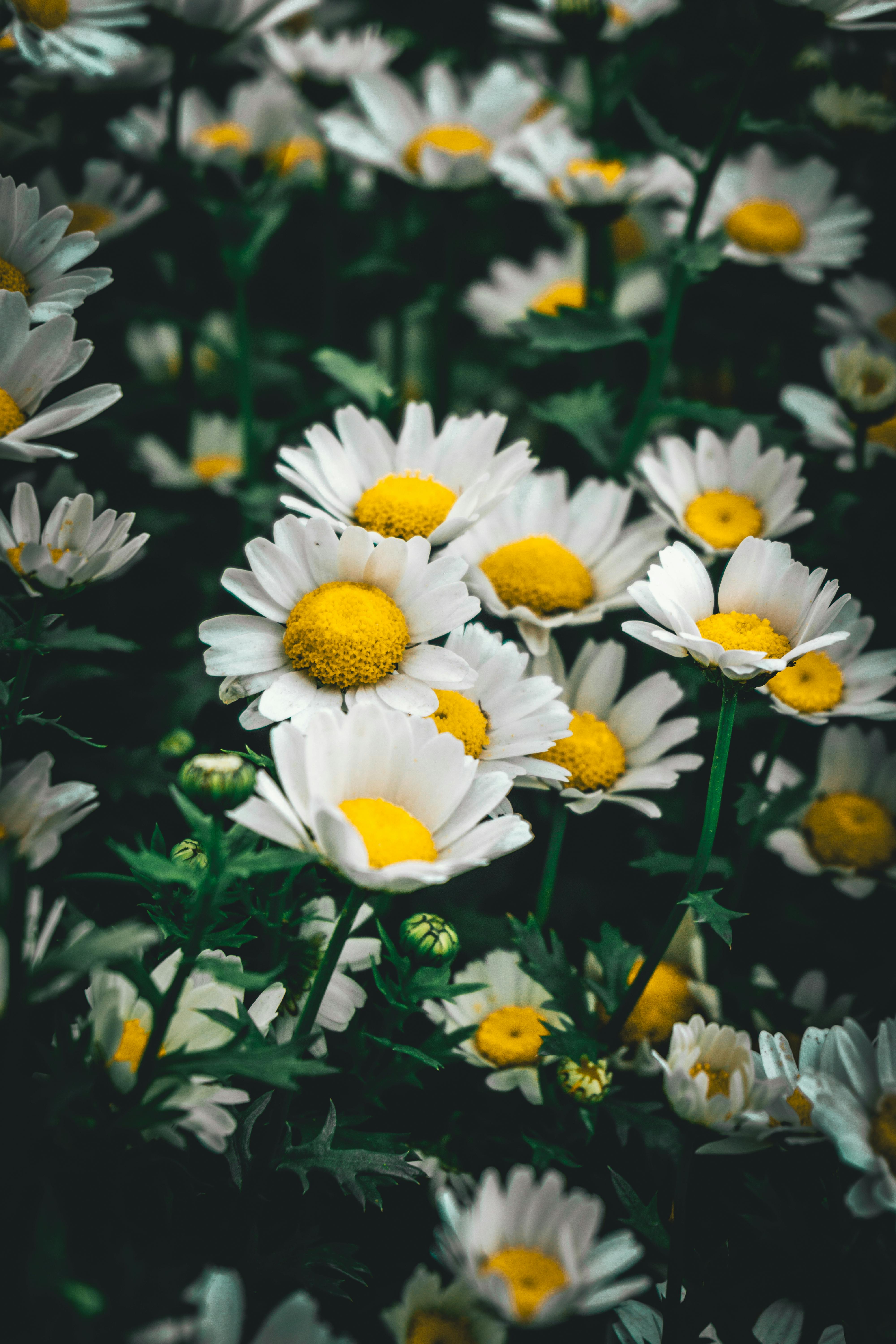 Spring And Summer Photos, Download The BEST Free Spring And Summer ...