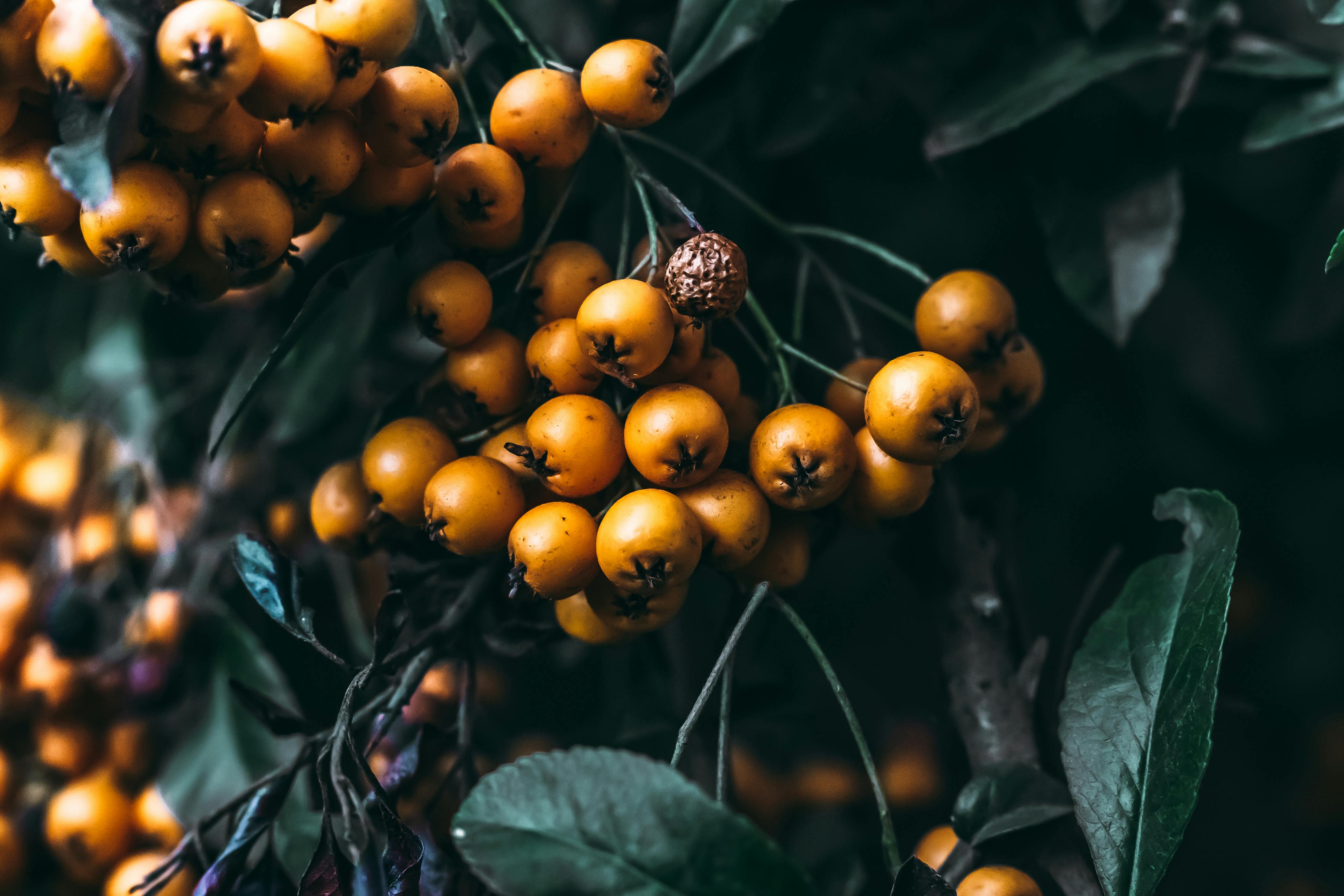 Life On 8 Effect Photos, Download The BEST Free Life On 8 Effect Stock ...