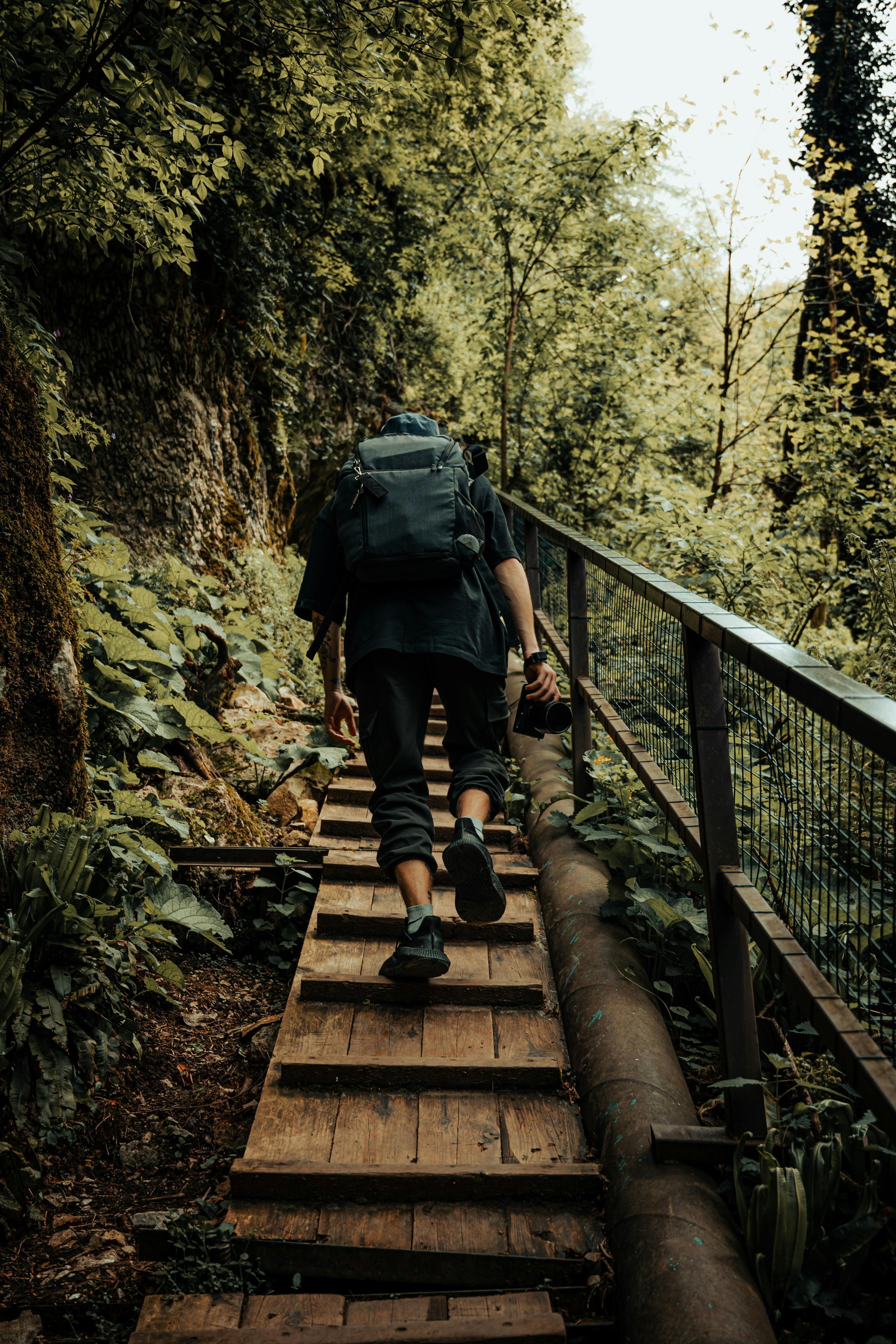 Person Hiking on Rock in Low Macchia Forest on Rocks · Free Stock Photo