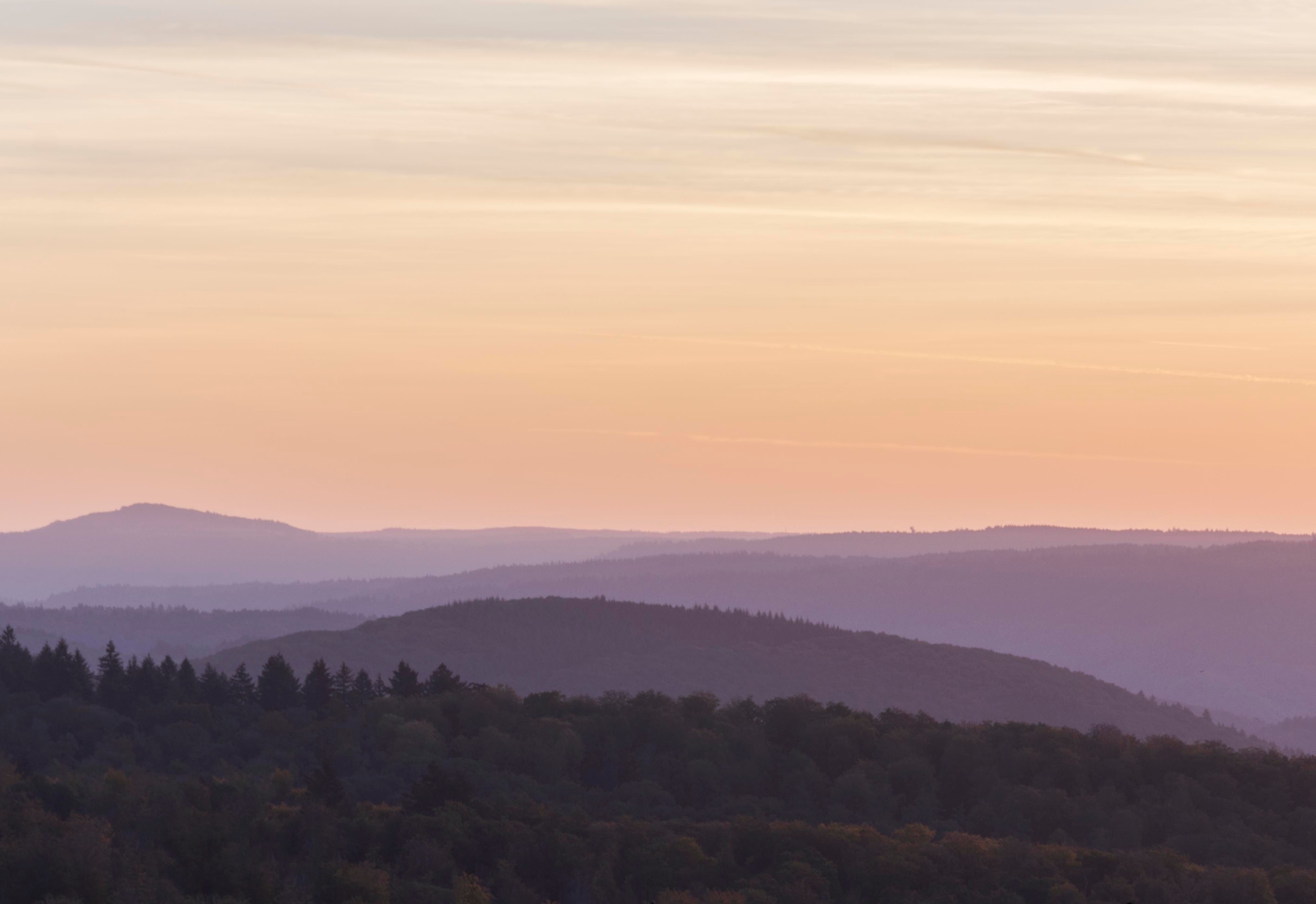 Forest on Hills at Sunset · Free Stock Photo