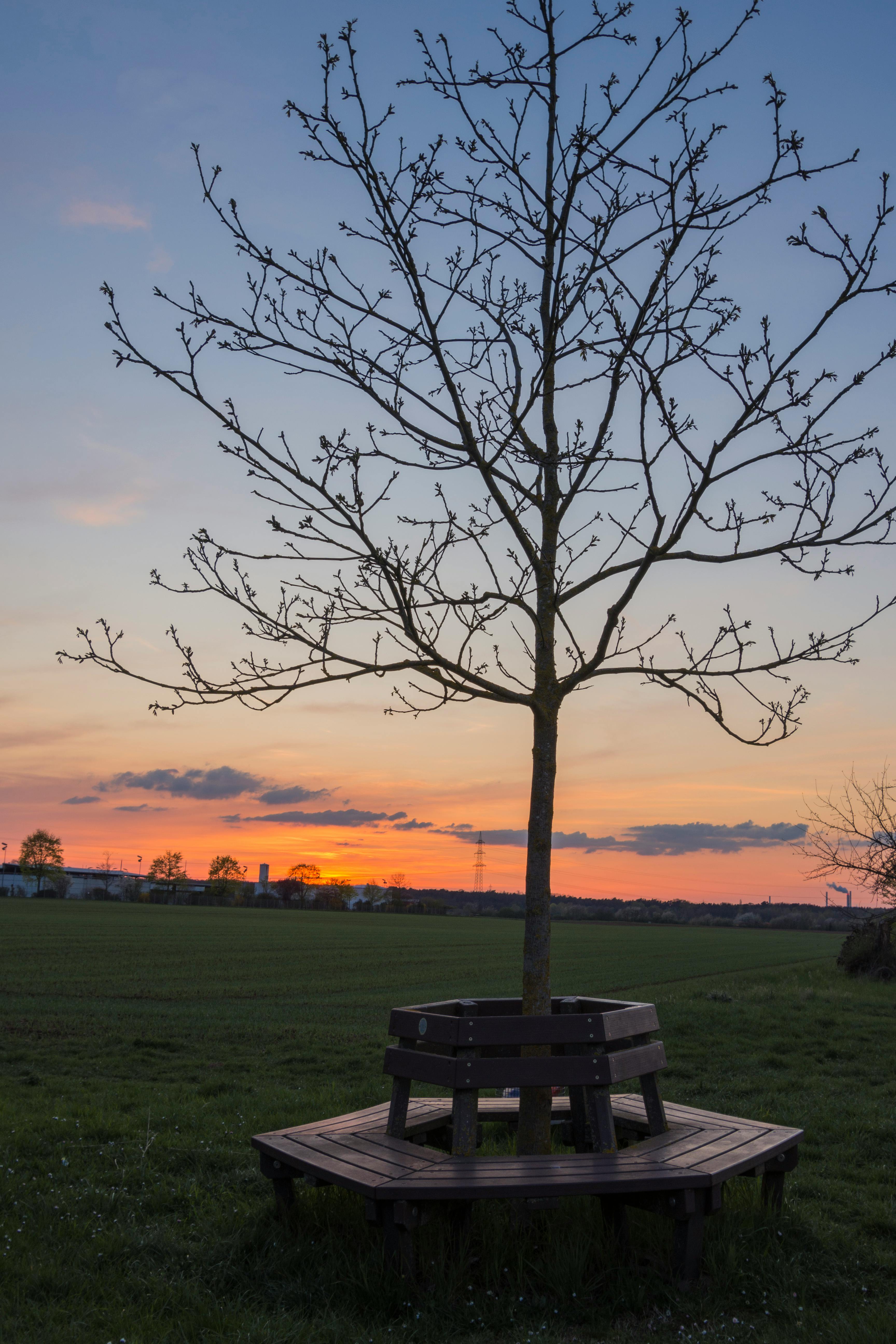 Morning Bench Photos, Download The BEST Free Morning Bench Stock Photos ...