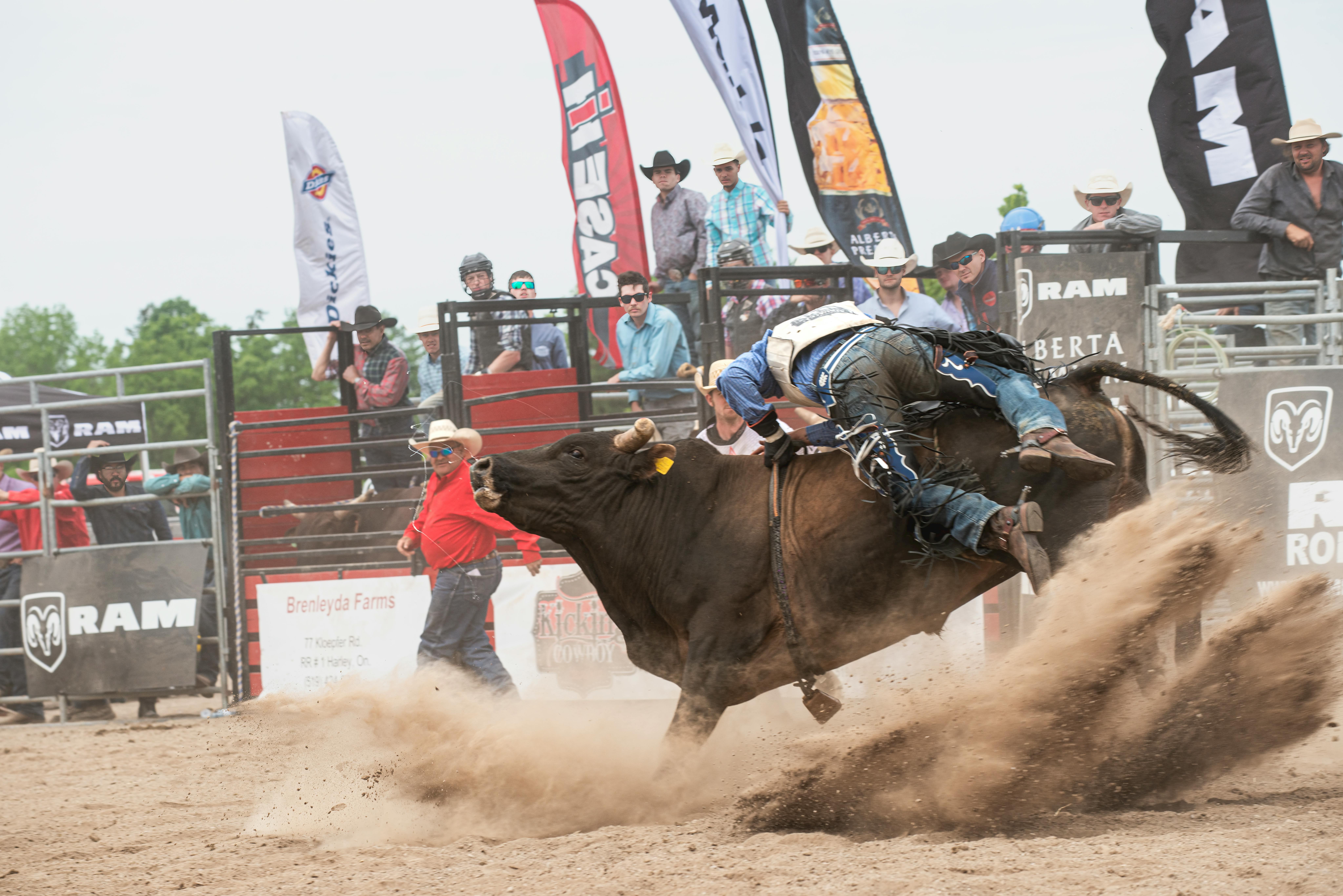 Photo of Man Doing Rodeo · Free Stock Photo