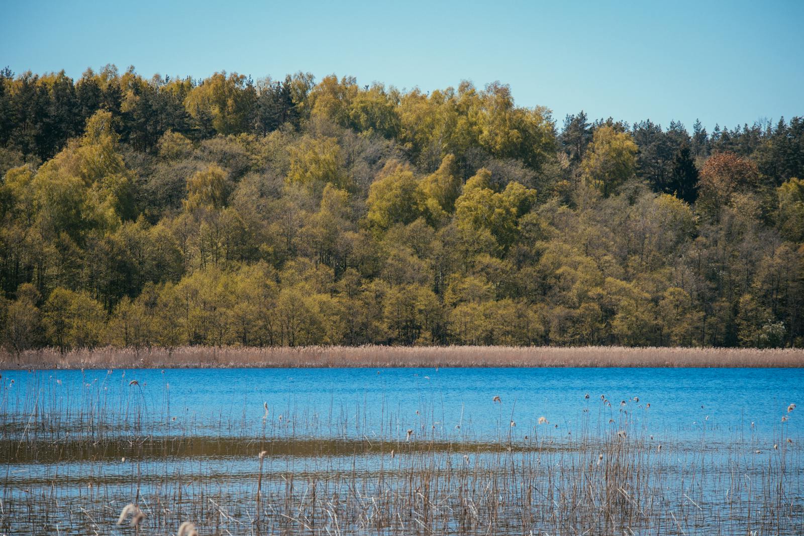 Haoyang Lake Photos, Download The BEST Free Haoyang Lake Stock Photos ...