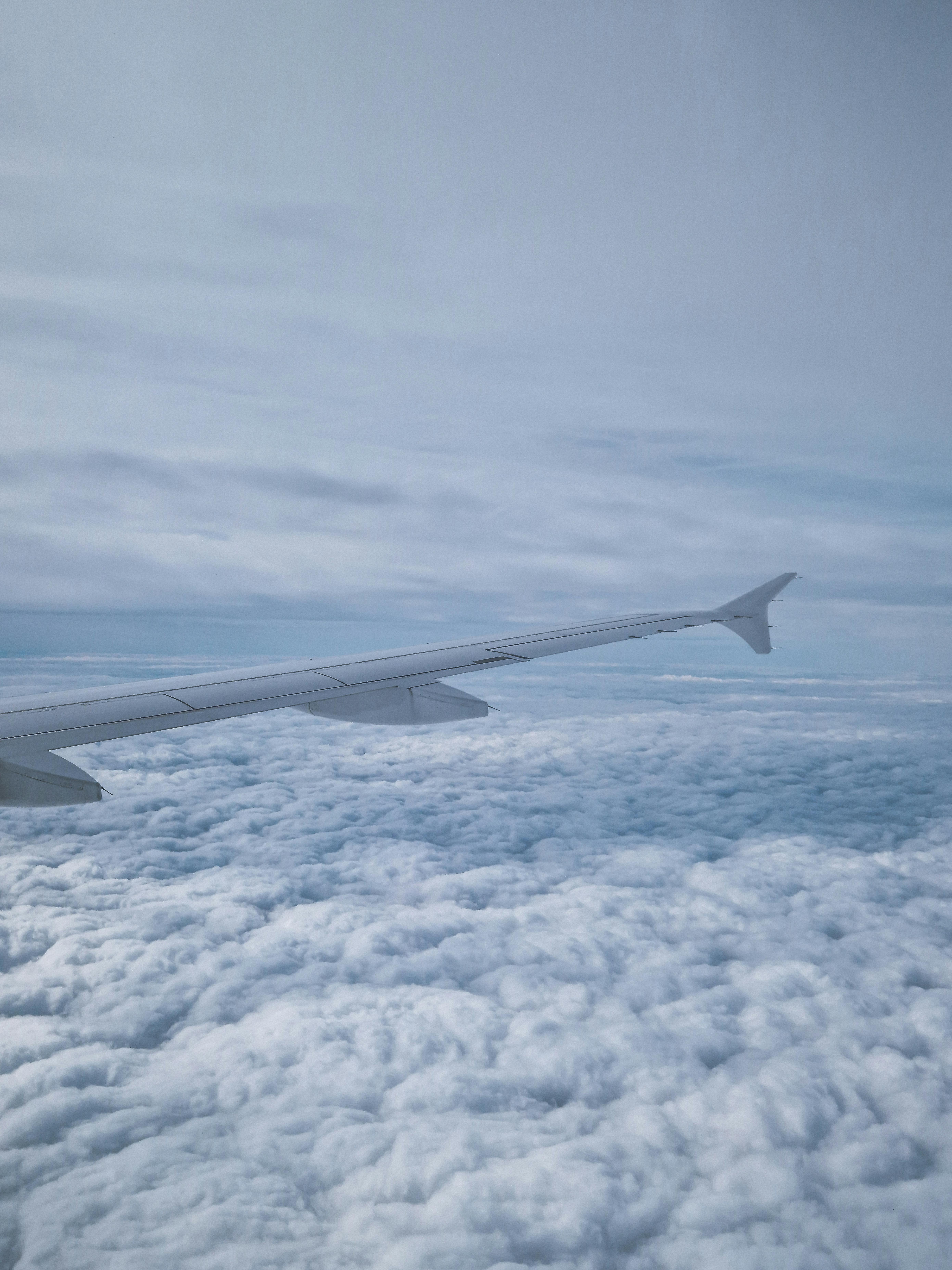 Gray Plane Wing · Free Stock Photo