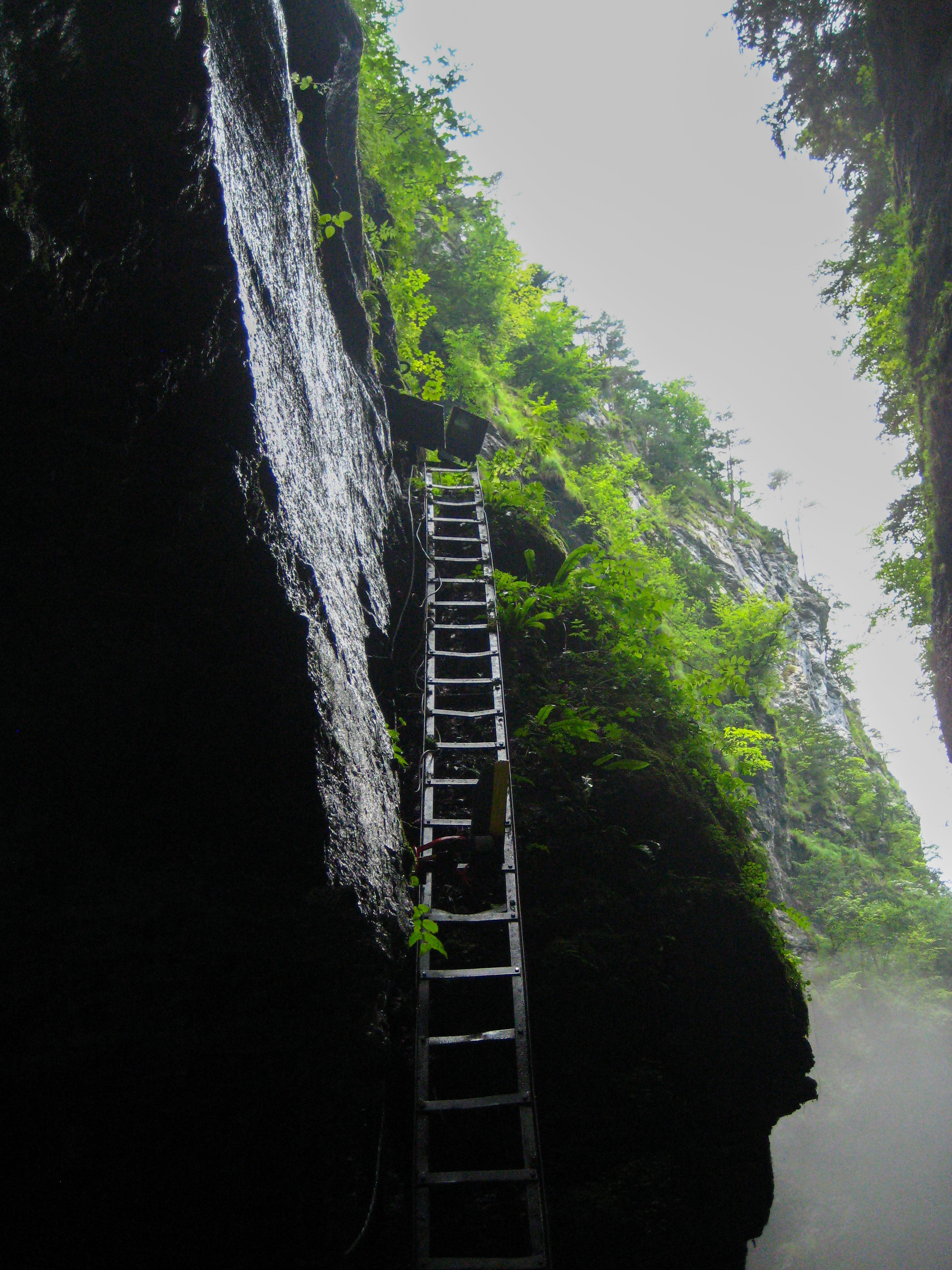 Goal Ladder Photos, Download The BEST Free Goal Ladder Stock Photos ...