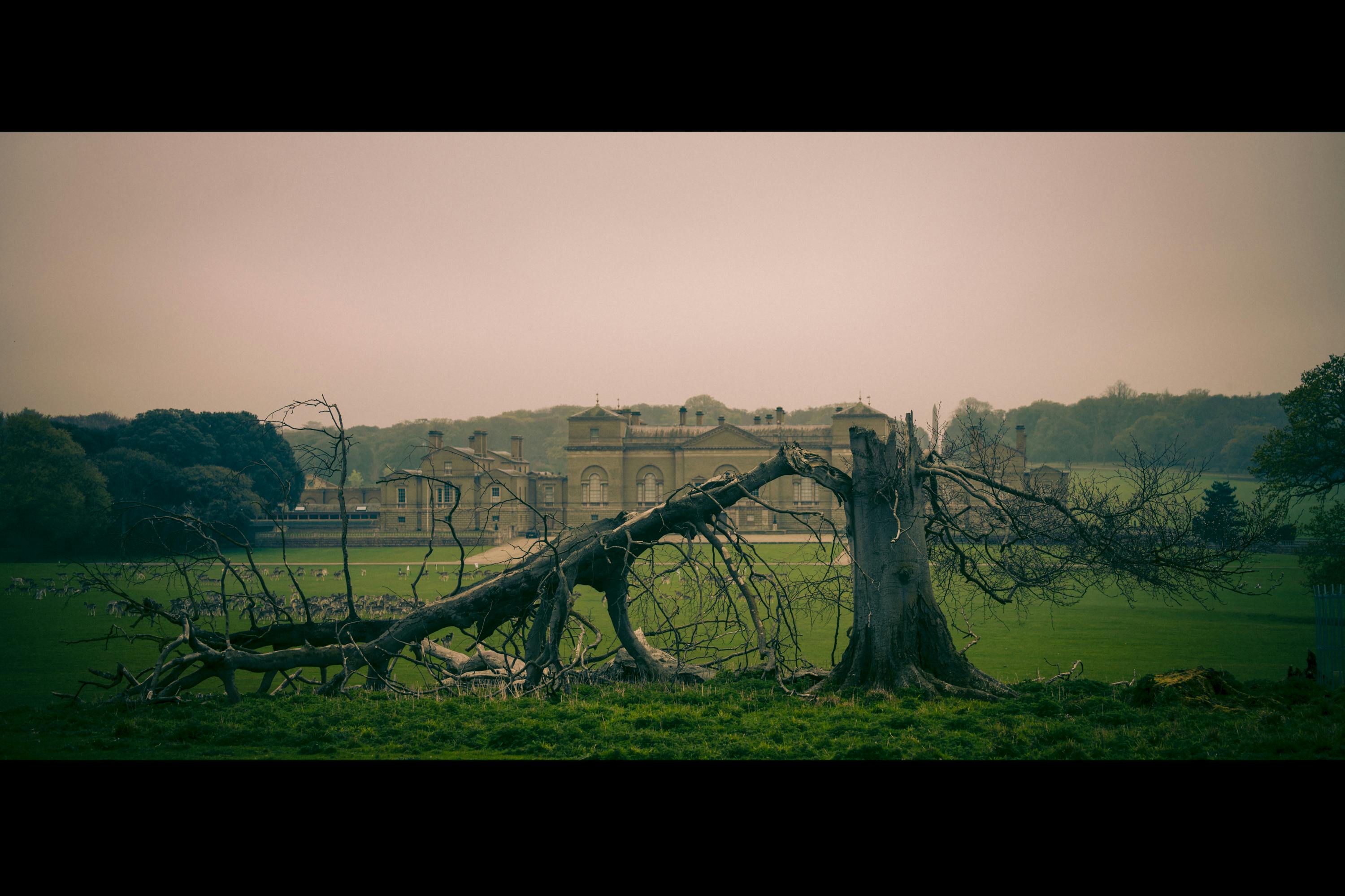 Mr Alex Photography - Photography