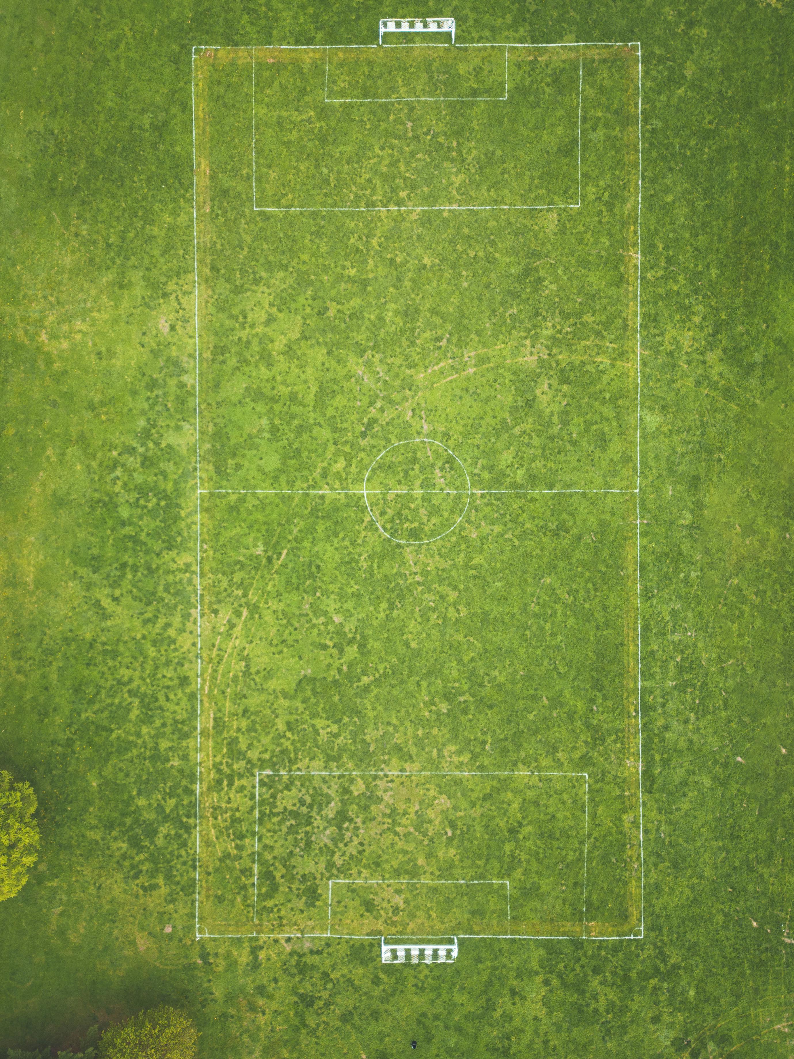 Birds Eye View of Football Pitch · Free Stock Photo