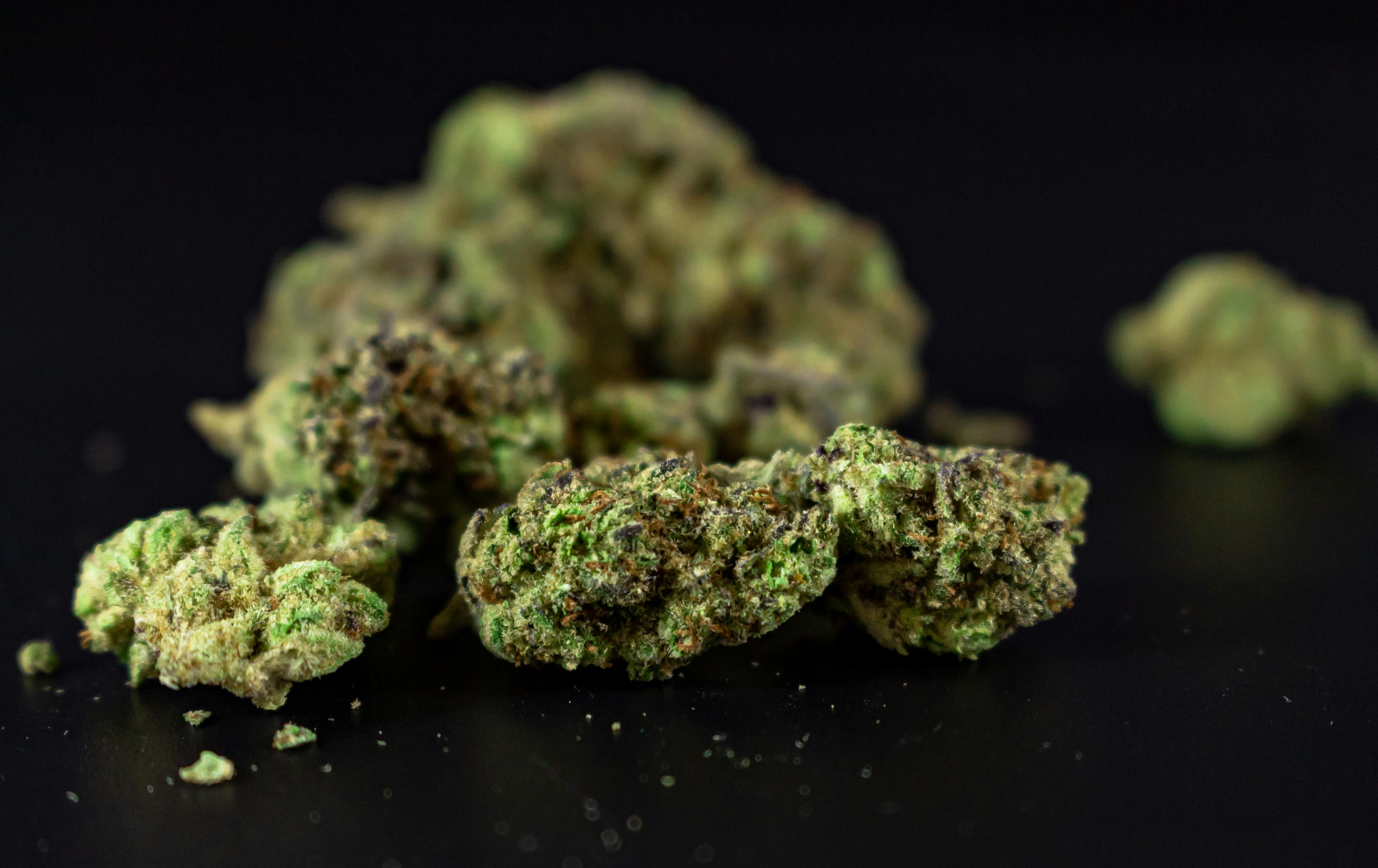 Foto de stock gratuita sobre adicción, agricultura, aislar, alternativa ...