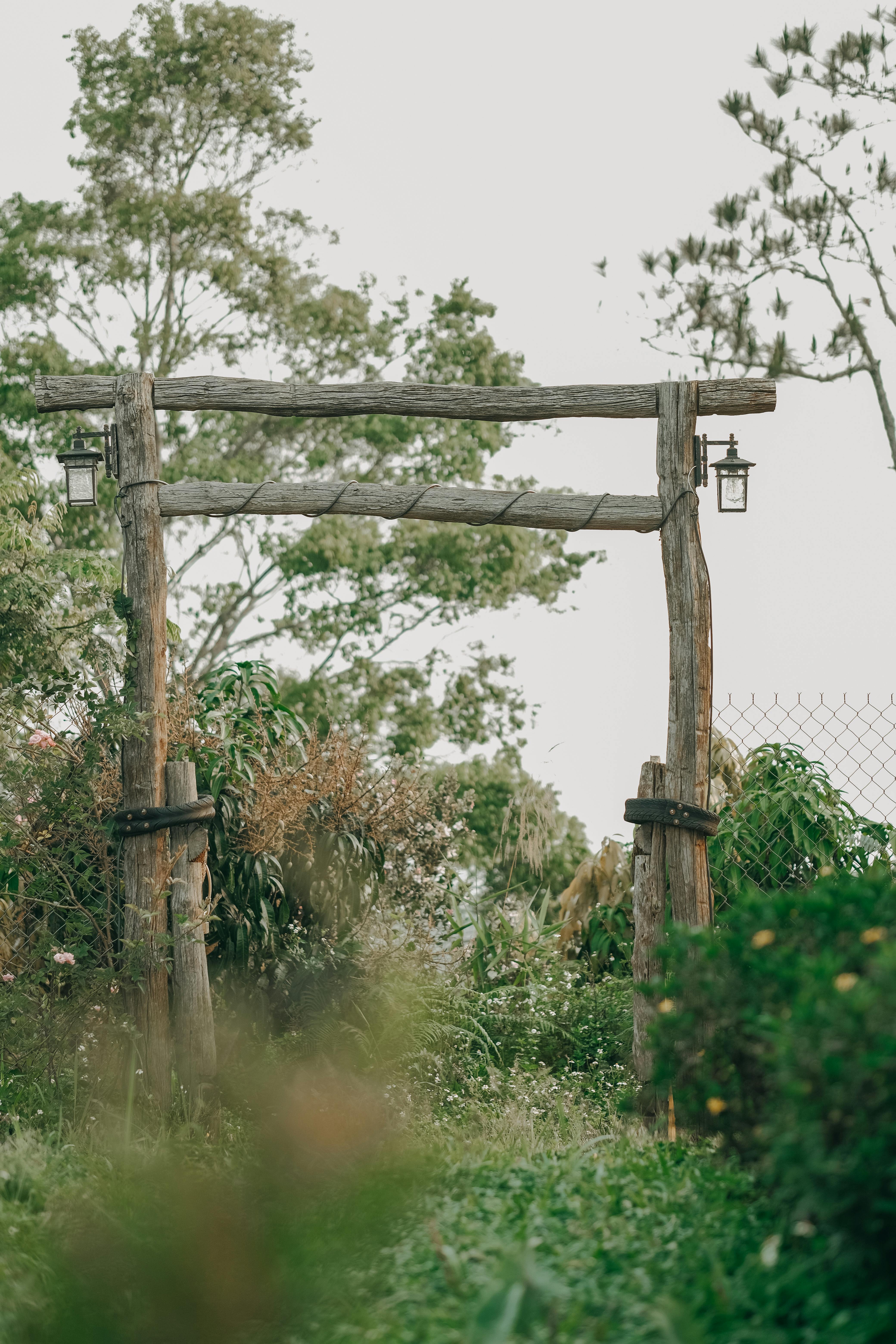Wooden Gate and Plants around · Free Stock Photo