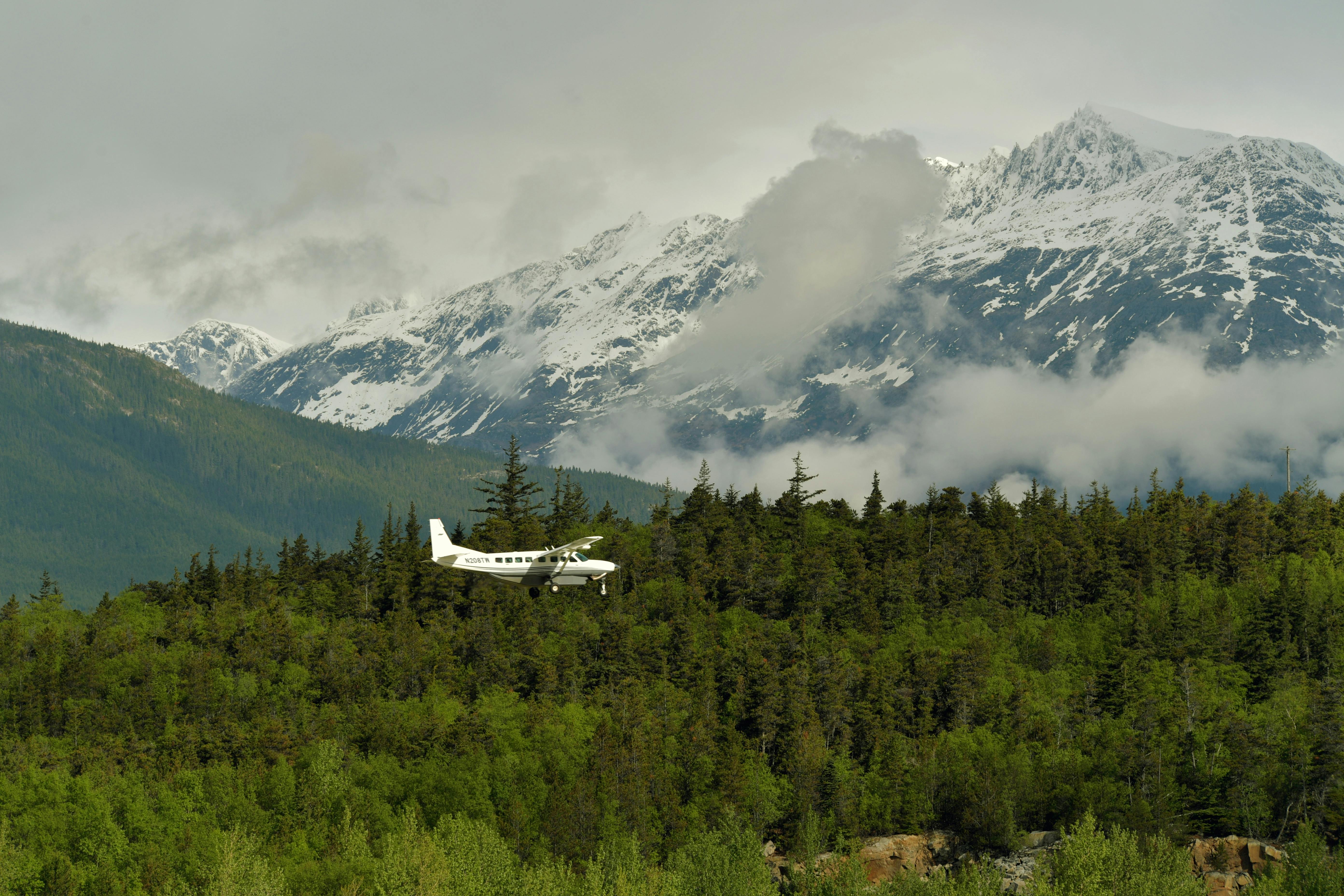Airplane Flying over Forest in Mountains · Free Stock Photo