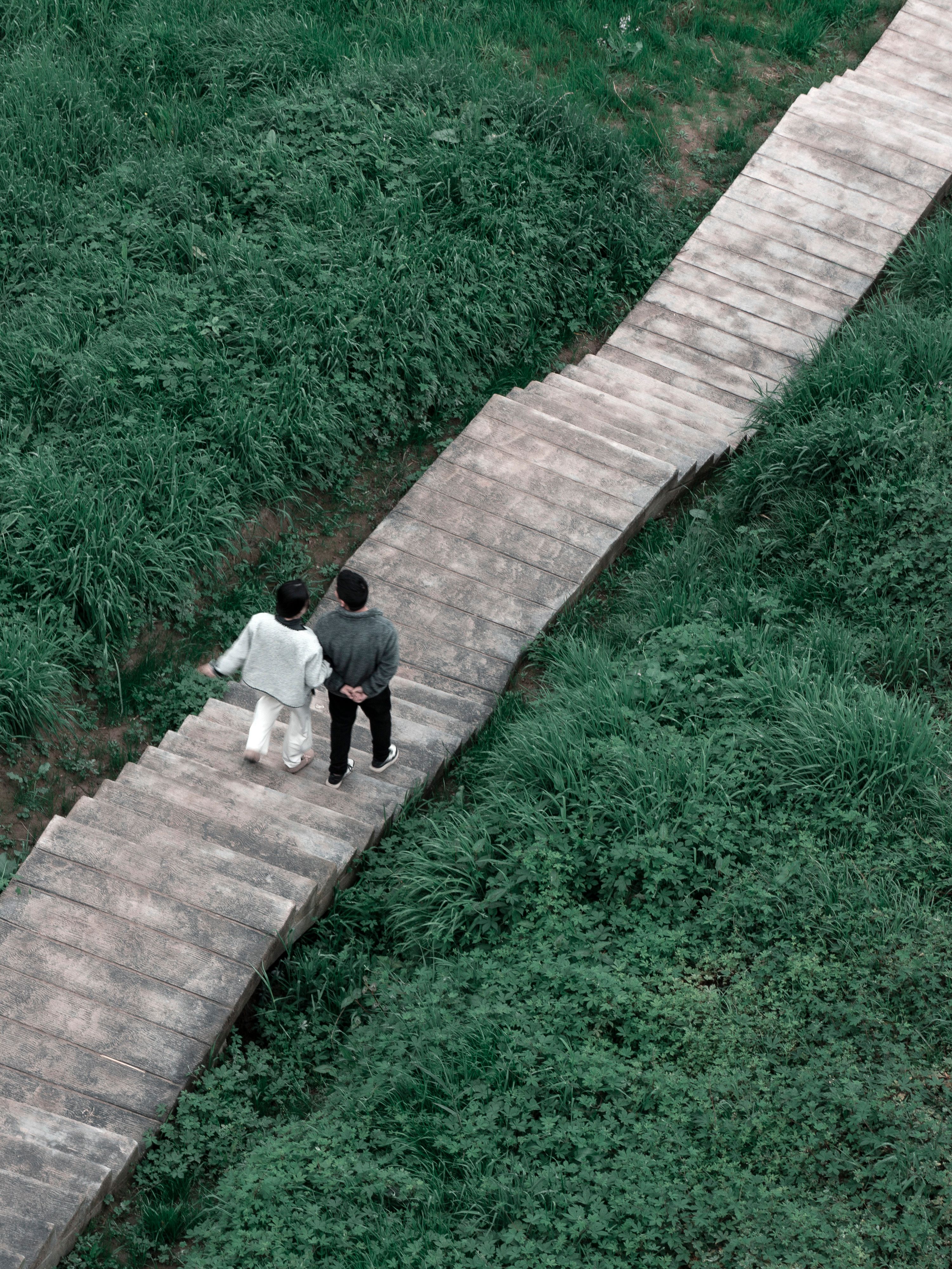 People Walking on a Wooden Path · Free Stock Photo