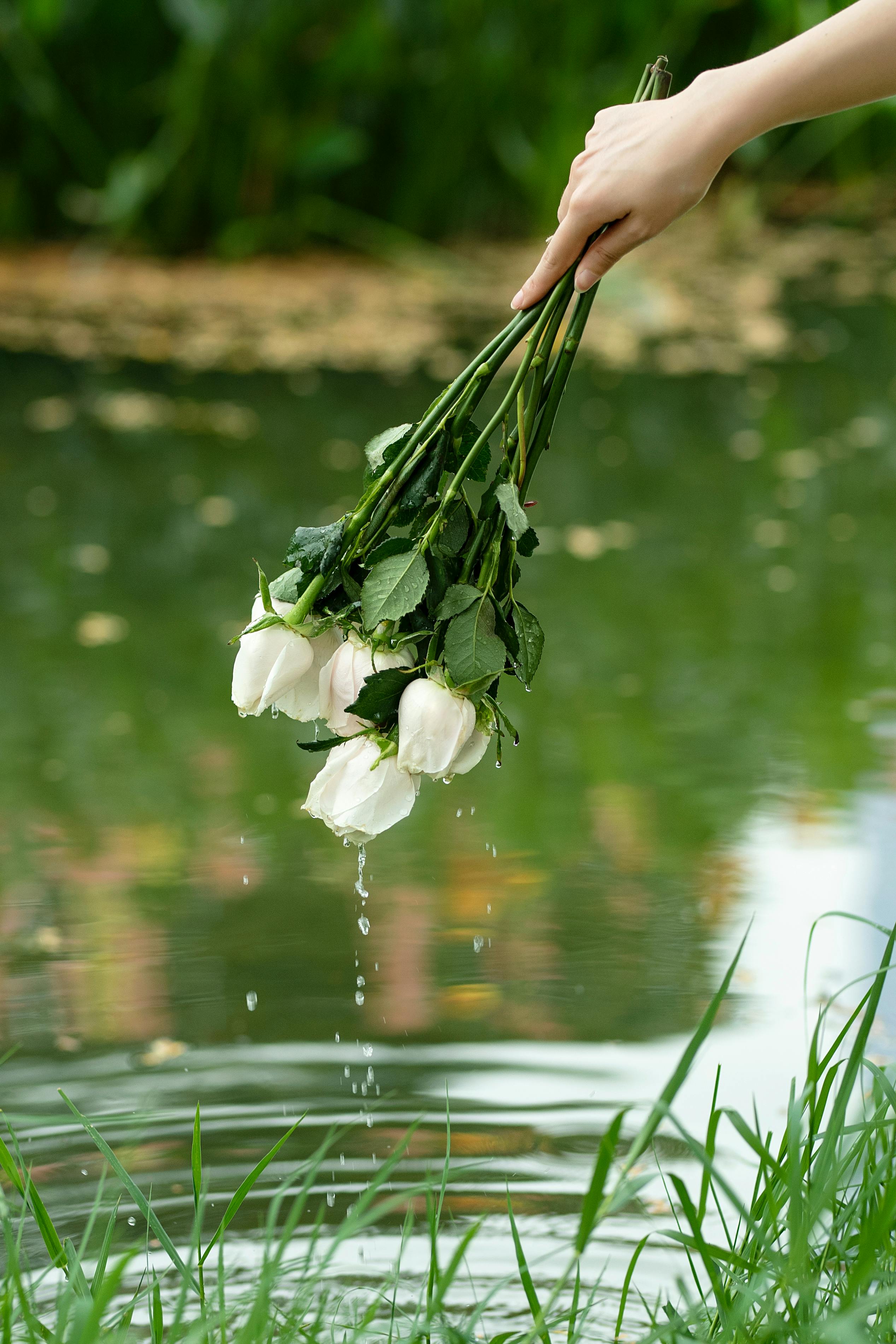 Woman Hand Holding Roses over Lake · Free Stock Photo