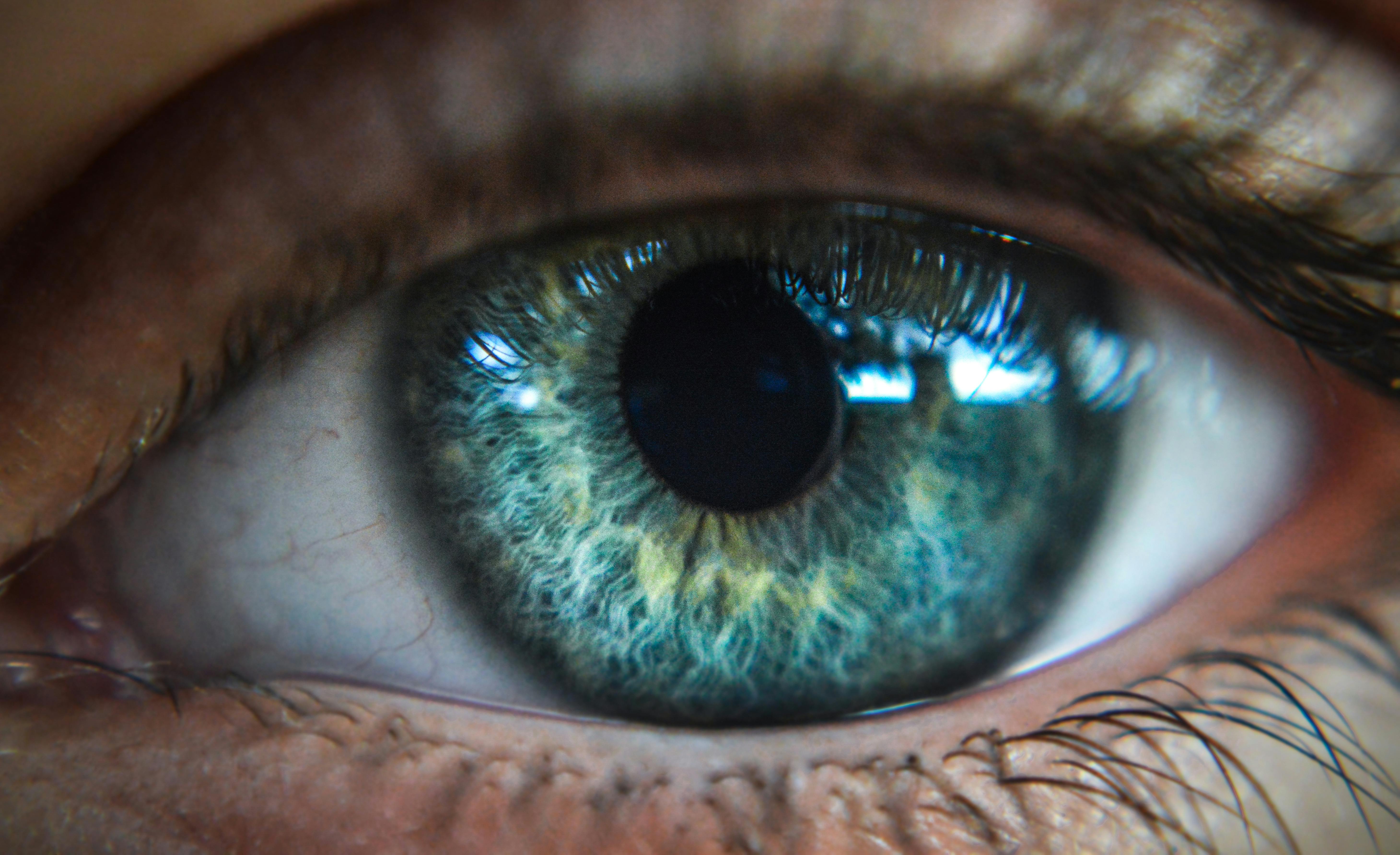 Close-up Photo of Person's Eyes · Free Stock Photo