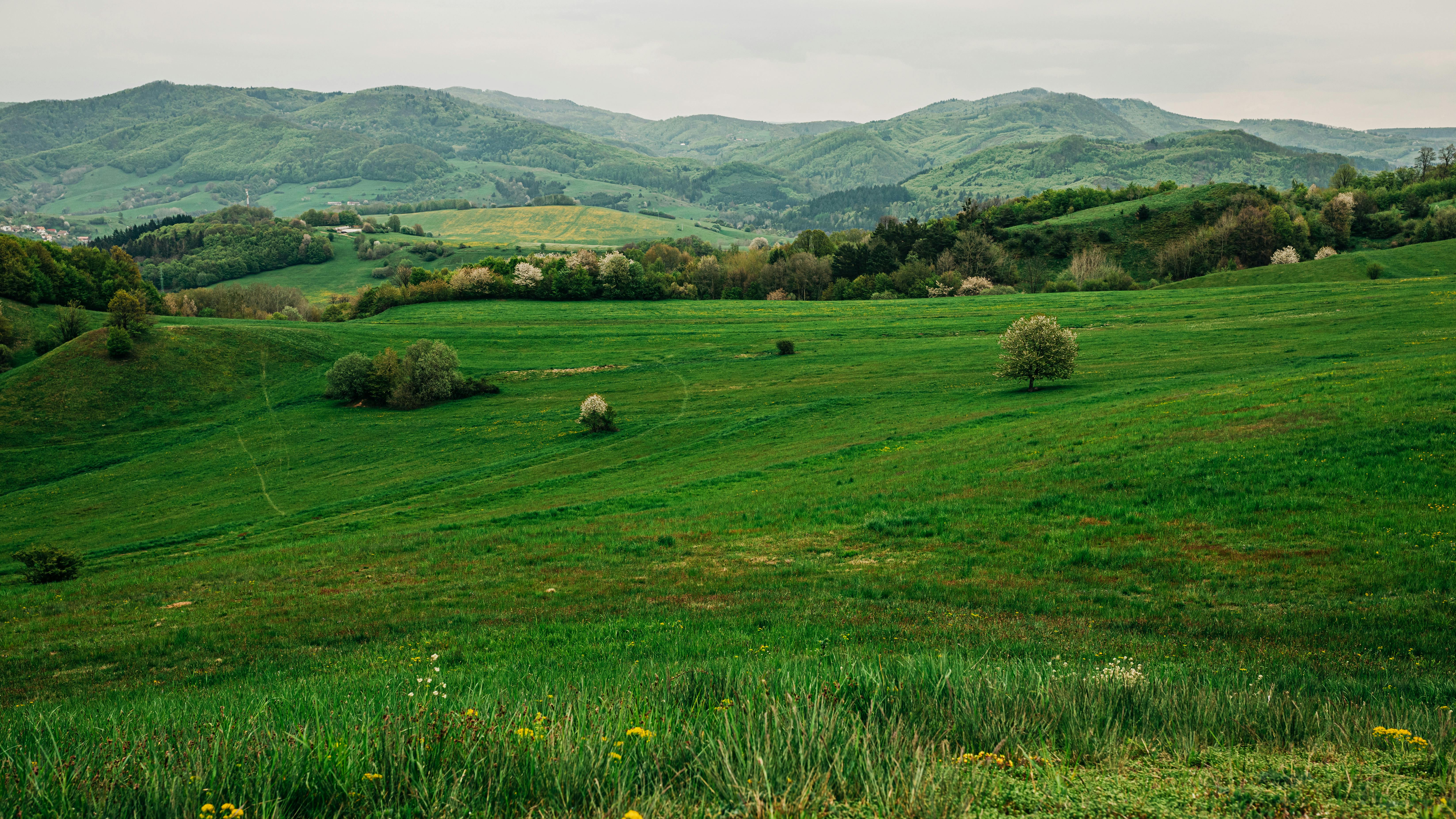 Green Plains and Hills · Free Stock Photo