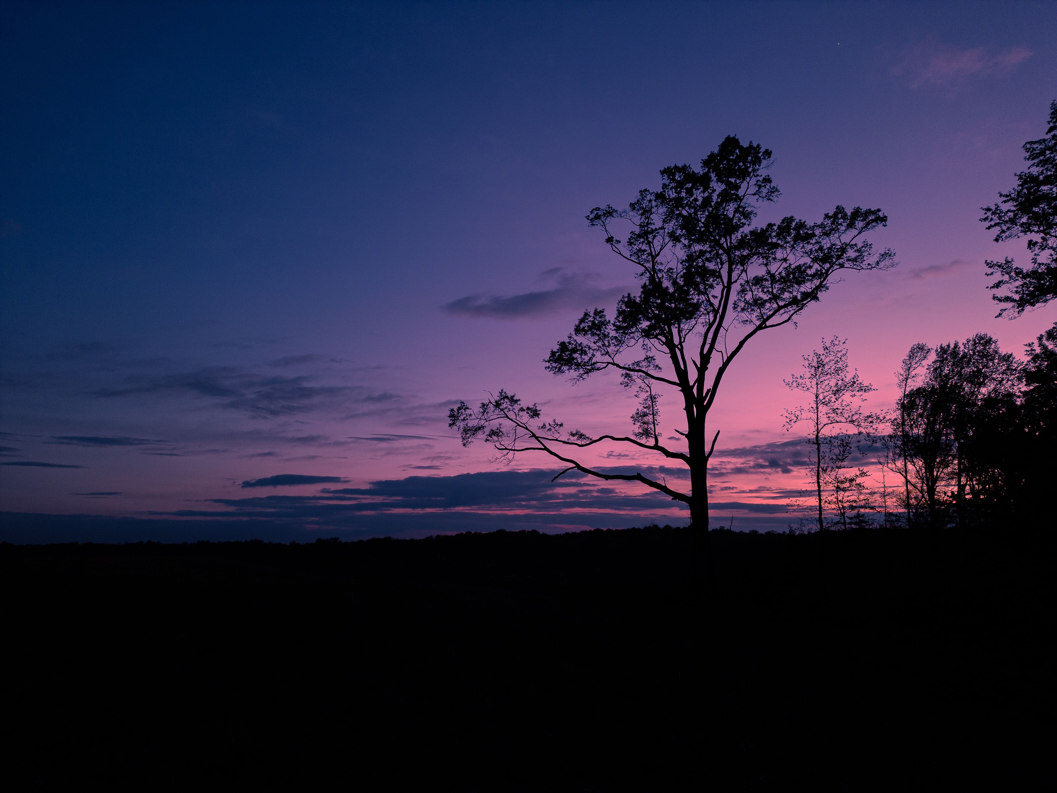 Haw Branch Photos, Download The BEST Free Haw Branch Stock Photos & HD ...