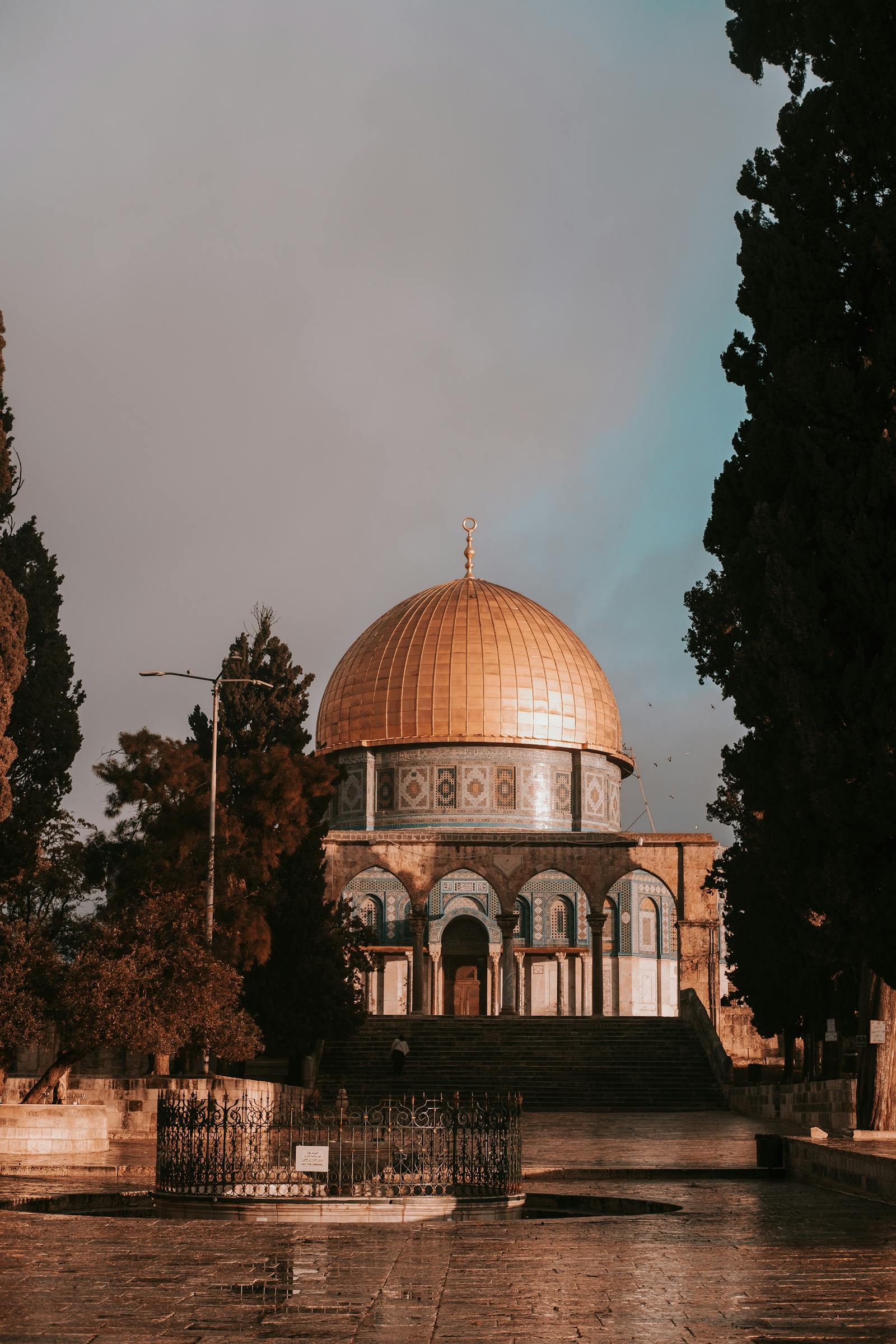 Free Palestine Photos, Download The BEST Free Free Palestine Stock ...