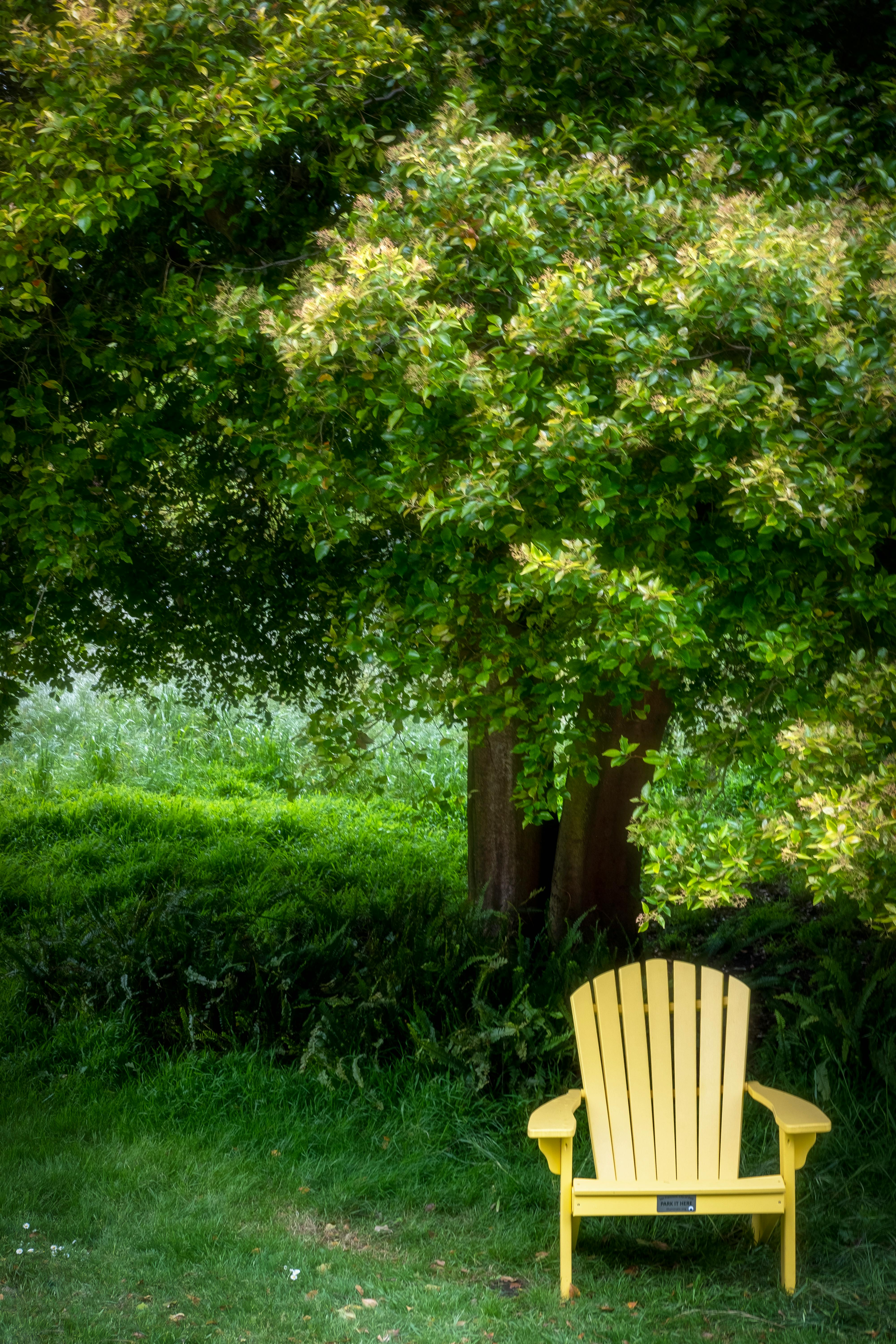 Wooden Garden Chair under Tree · Free Stock Photo