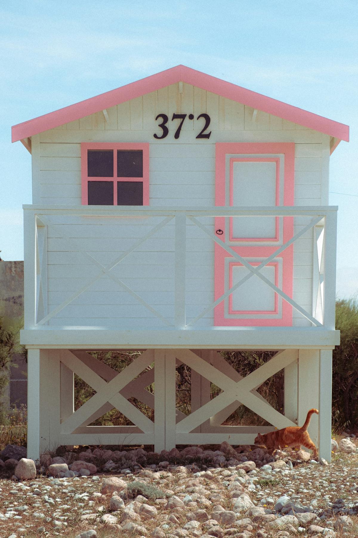 Beach Hut Photos, Download The BEST Free Beach Hut Stock Photos & HD Images